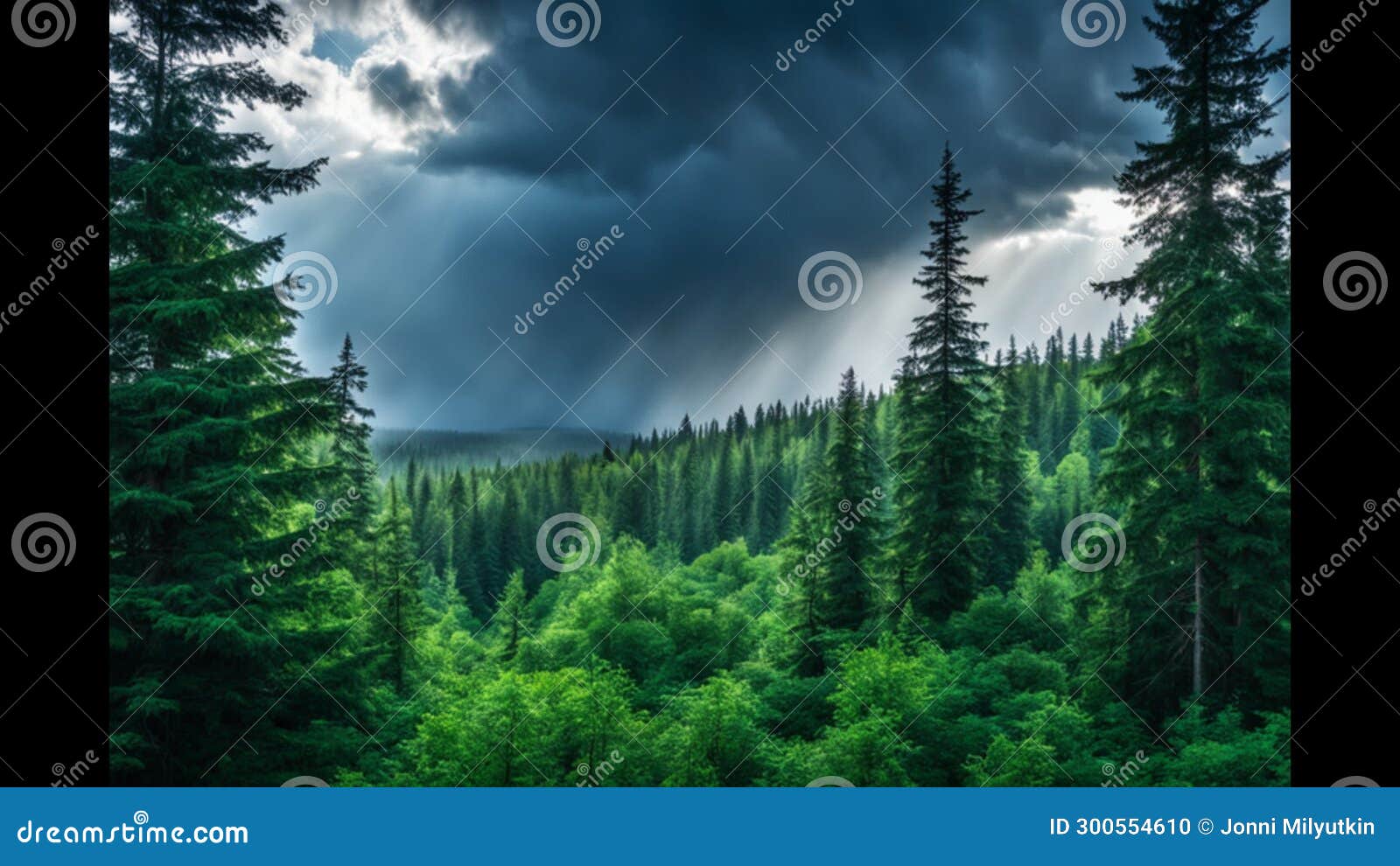Dense Forest Under a Summer Downpour Rays of Sun Piercing through ...