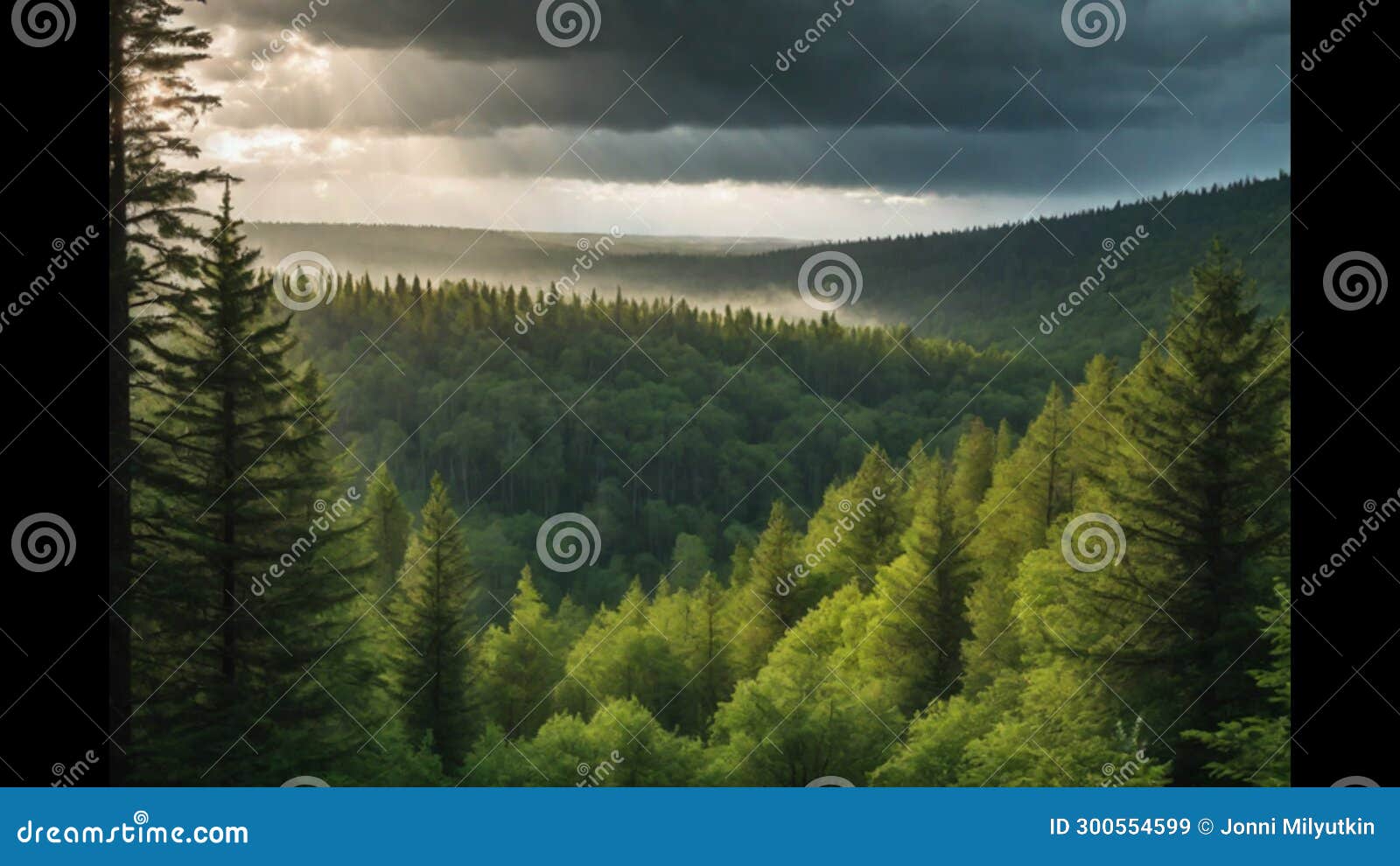 Dense Forest Under a Summer Downpour Rays of Sun Piercing through ...