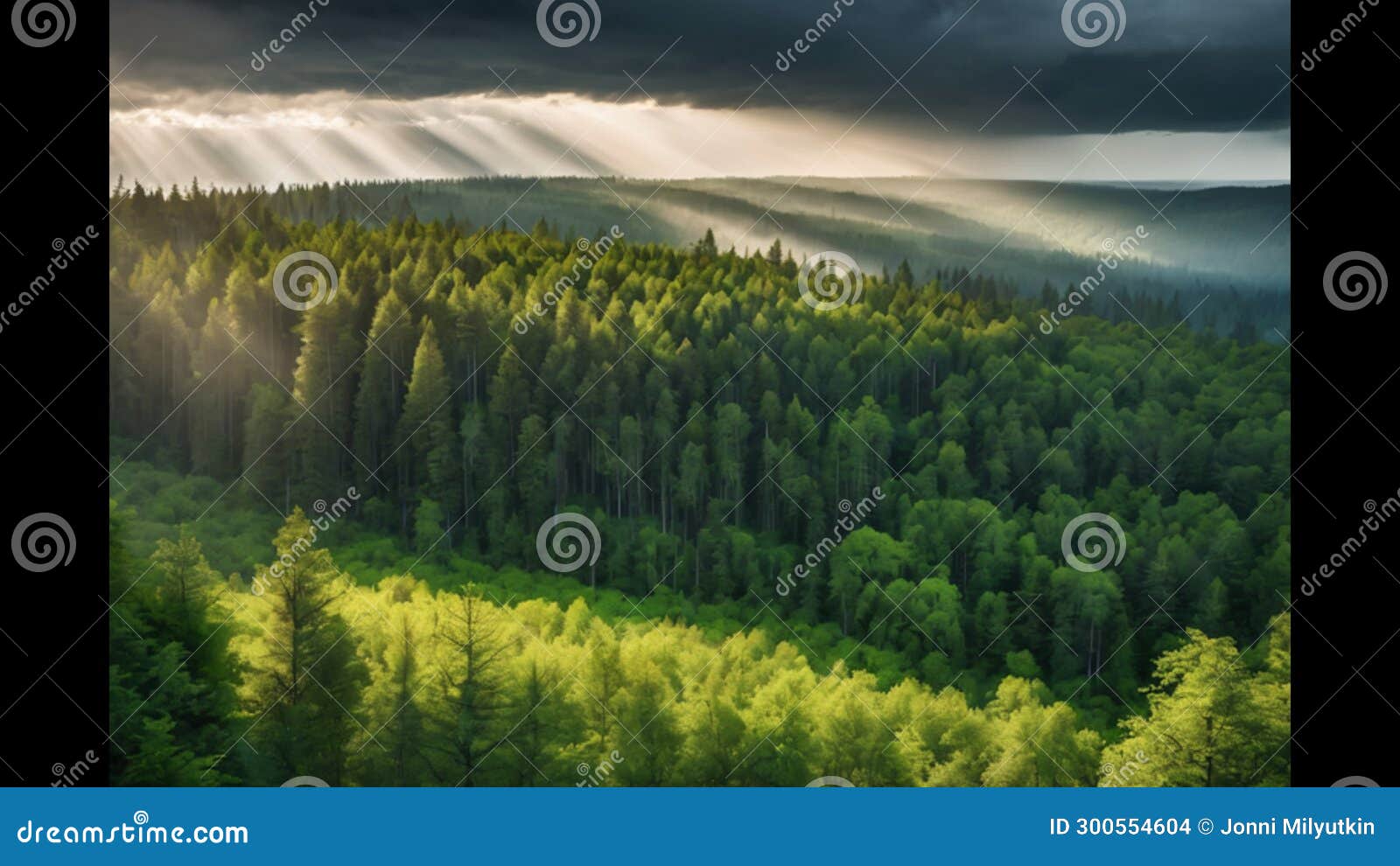 Dense Forest Under a Summer Downpour Rays of Sun Piercing through ...