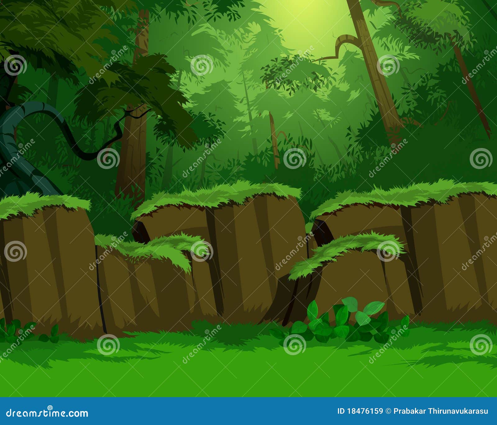 Dense Forest View Royalty-Free Stock Photography | CartoonDealer.com ...