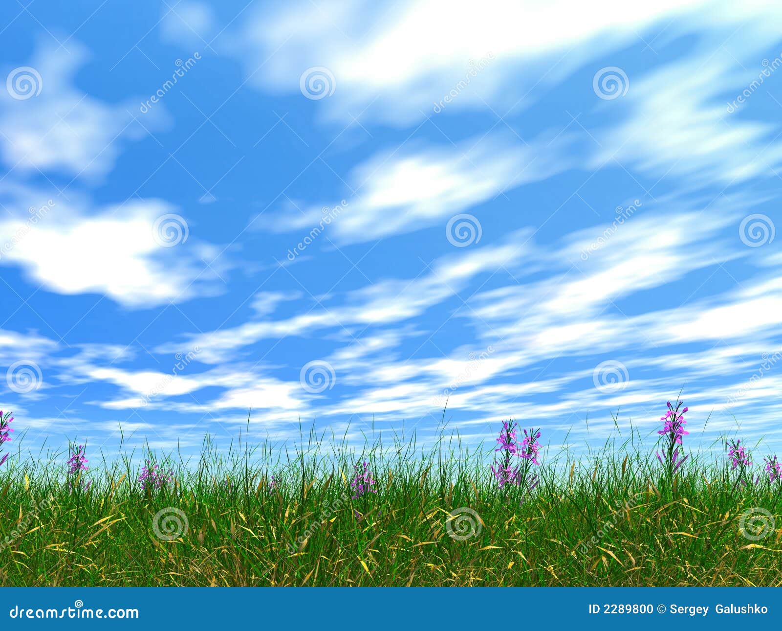 Dense grass stock photo. Image of green, dense, nature - 2289800
