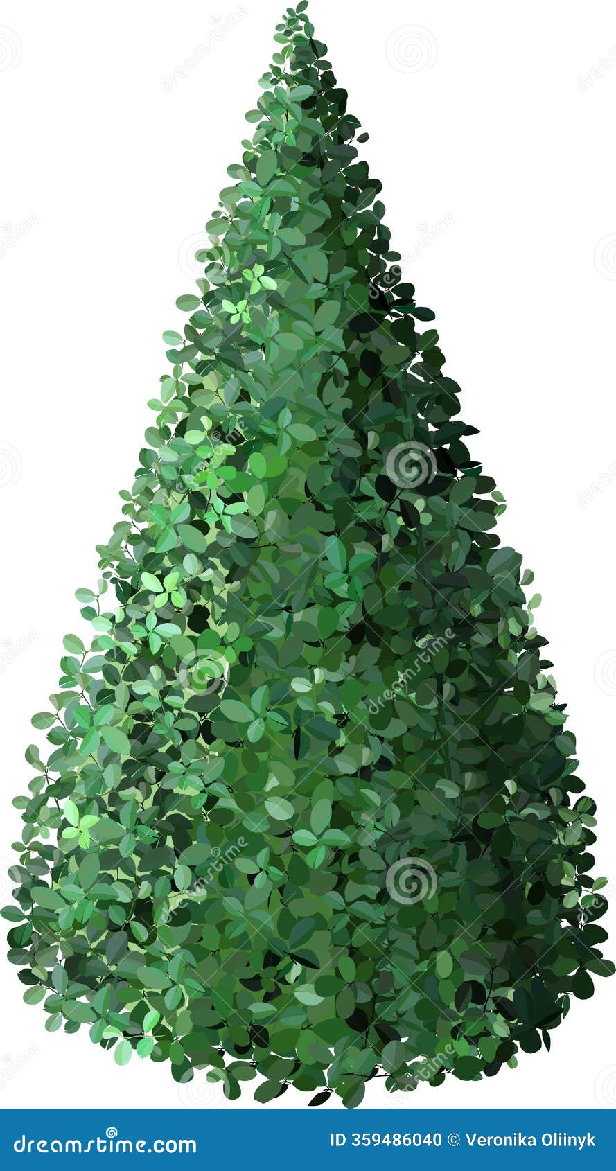 Dense Green Foliage Forms a Tall, Conical Shape, Resembling a Stylized ...