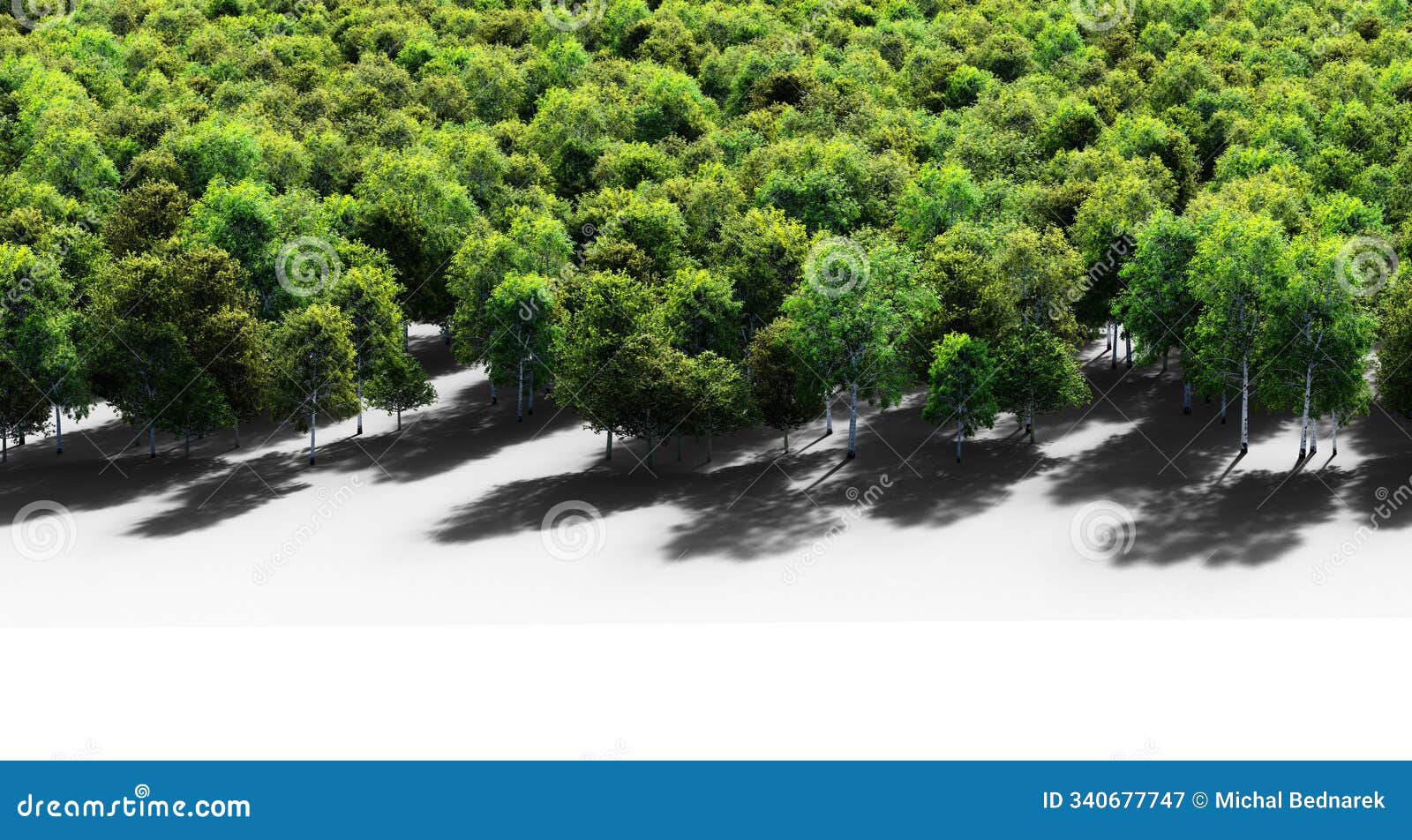 A Dense Green Forest Royalty-Free Stock Photography | CartoonDealer.com ...