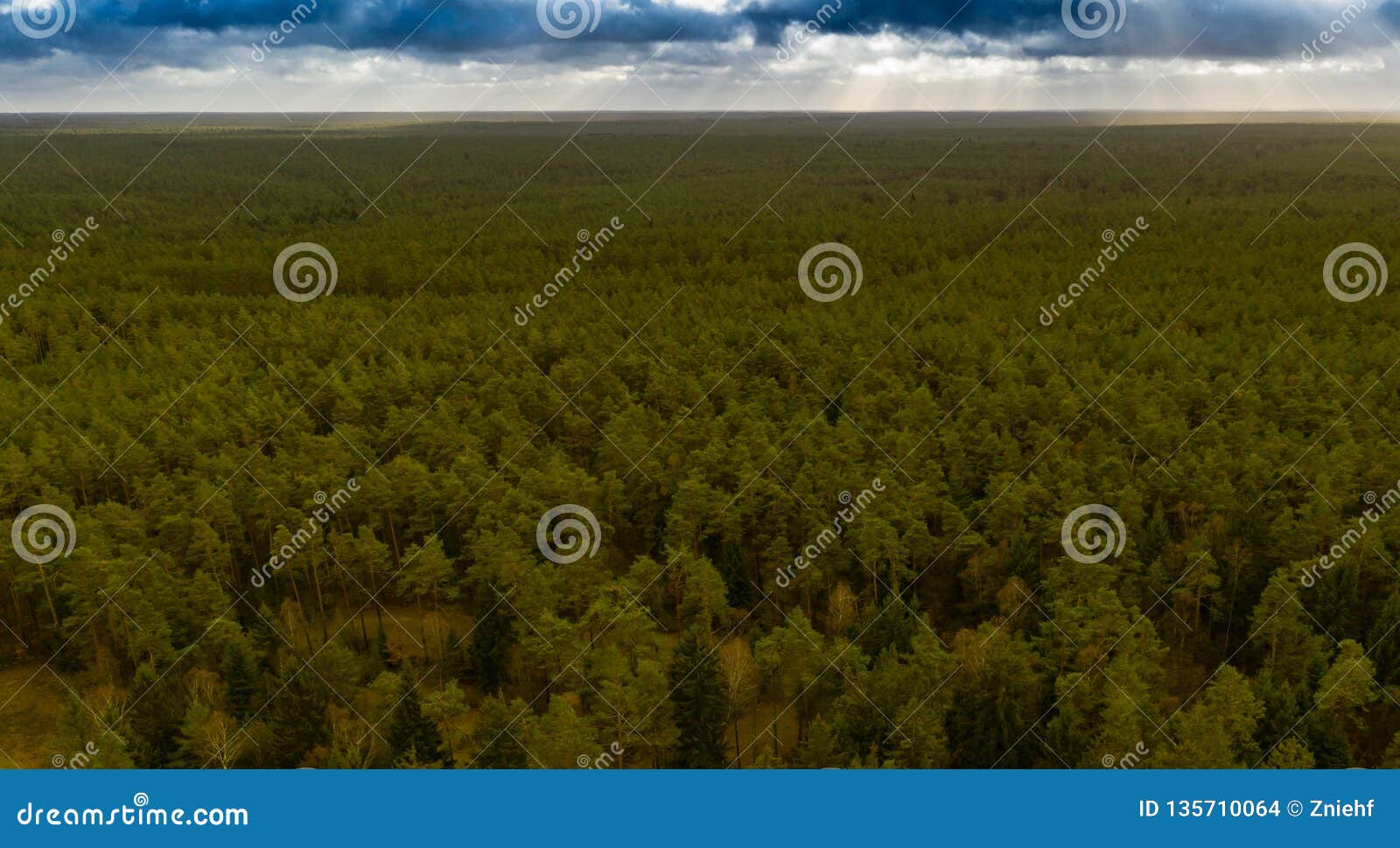 Dense Green Forest in the Flat Landscape of Northern Germany, Boring ...