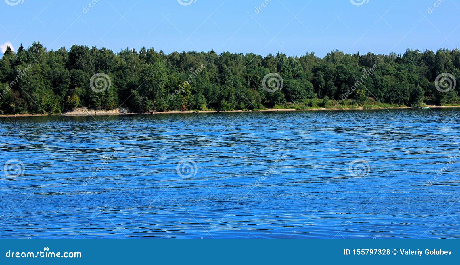 Dense Green Forest on the River Bank Stock Photo - Image of travel ...