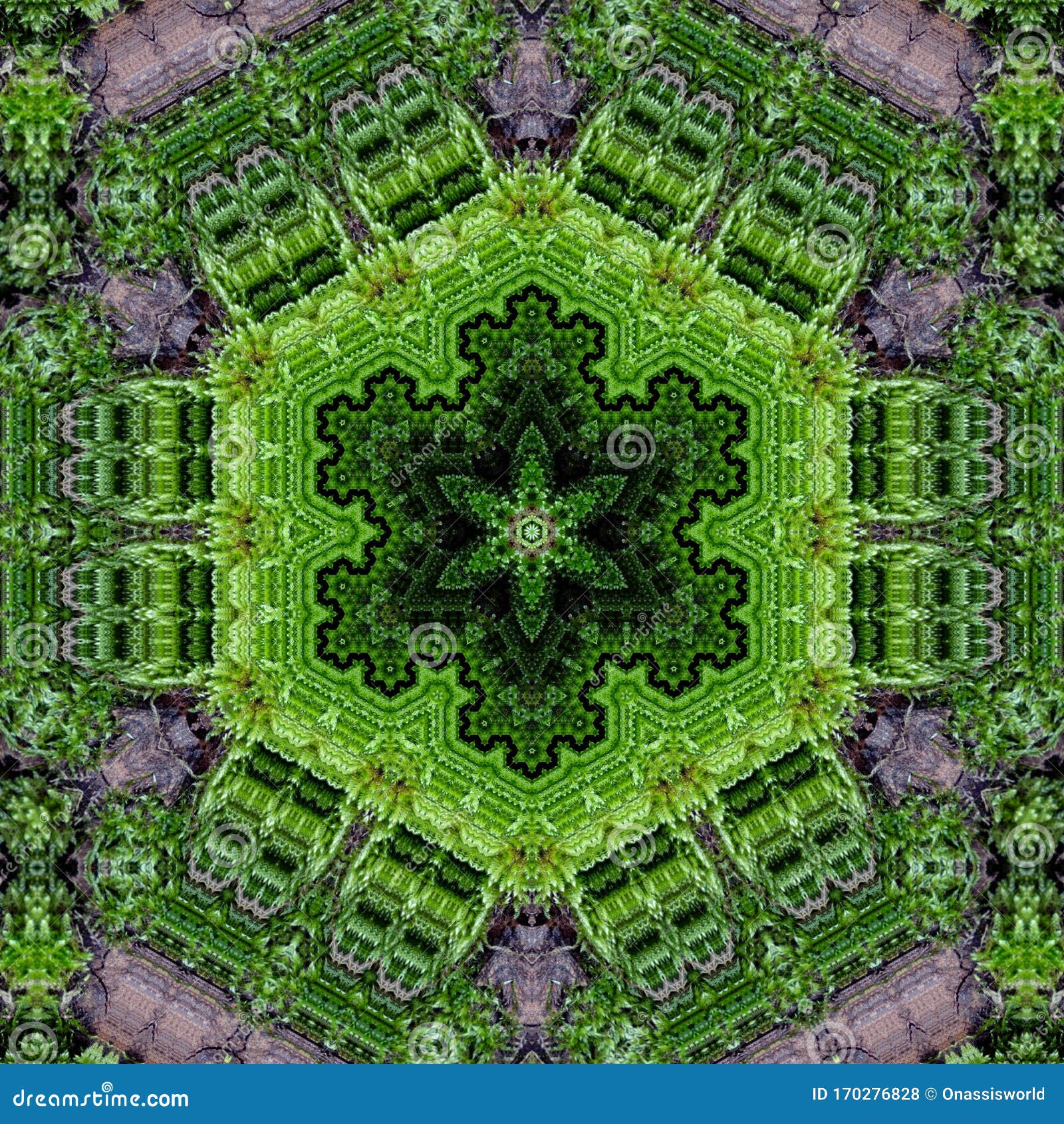 Dense Green Tree Moss Abstract Background Stock Photo - Image of ...