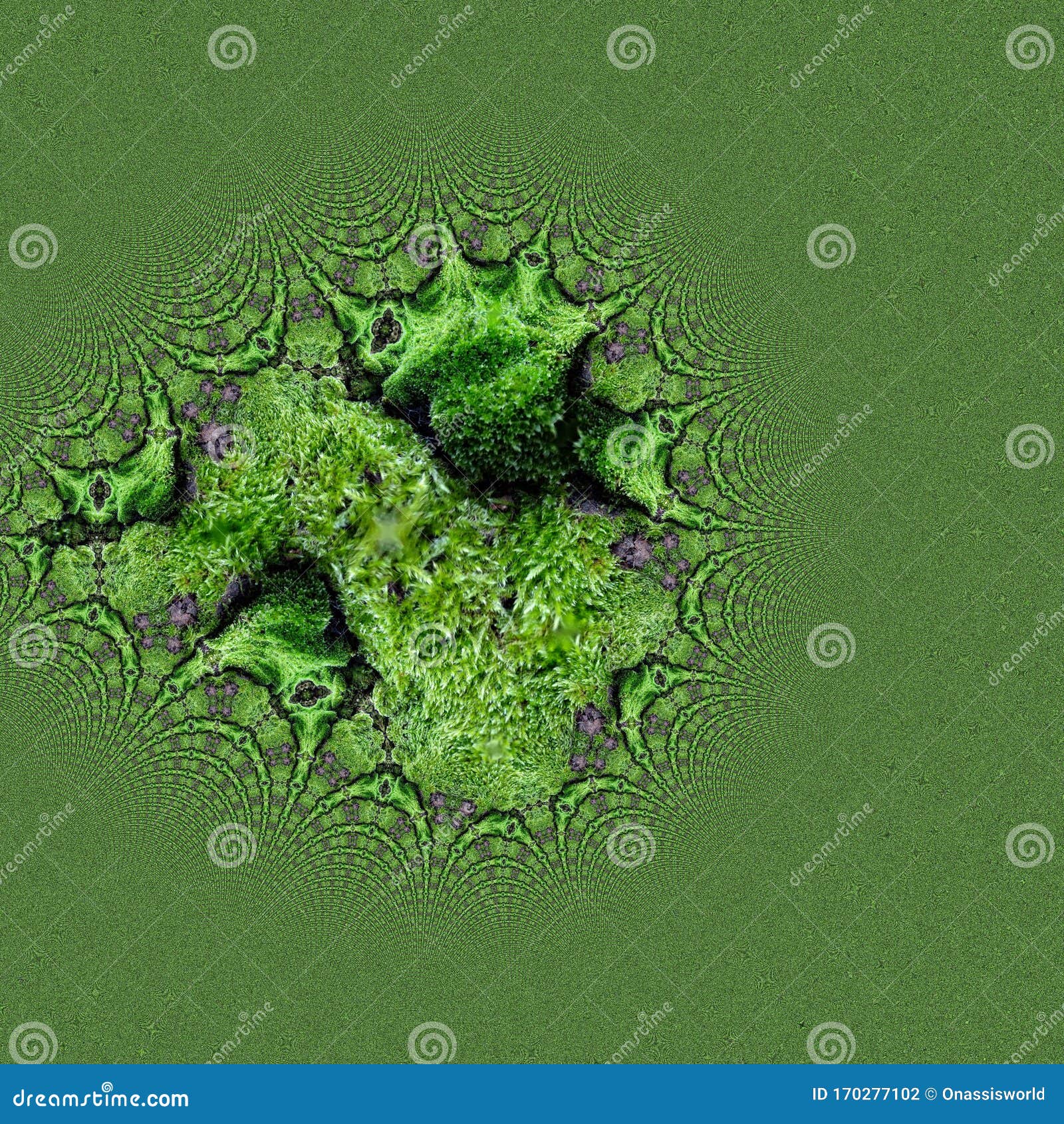 Dense Green Tree Moss Abstract Background Stock Photo - Image of ...