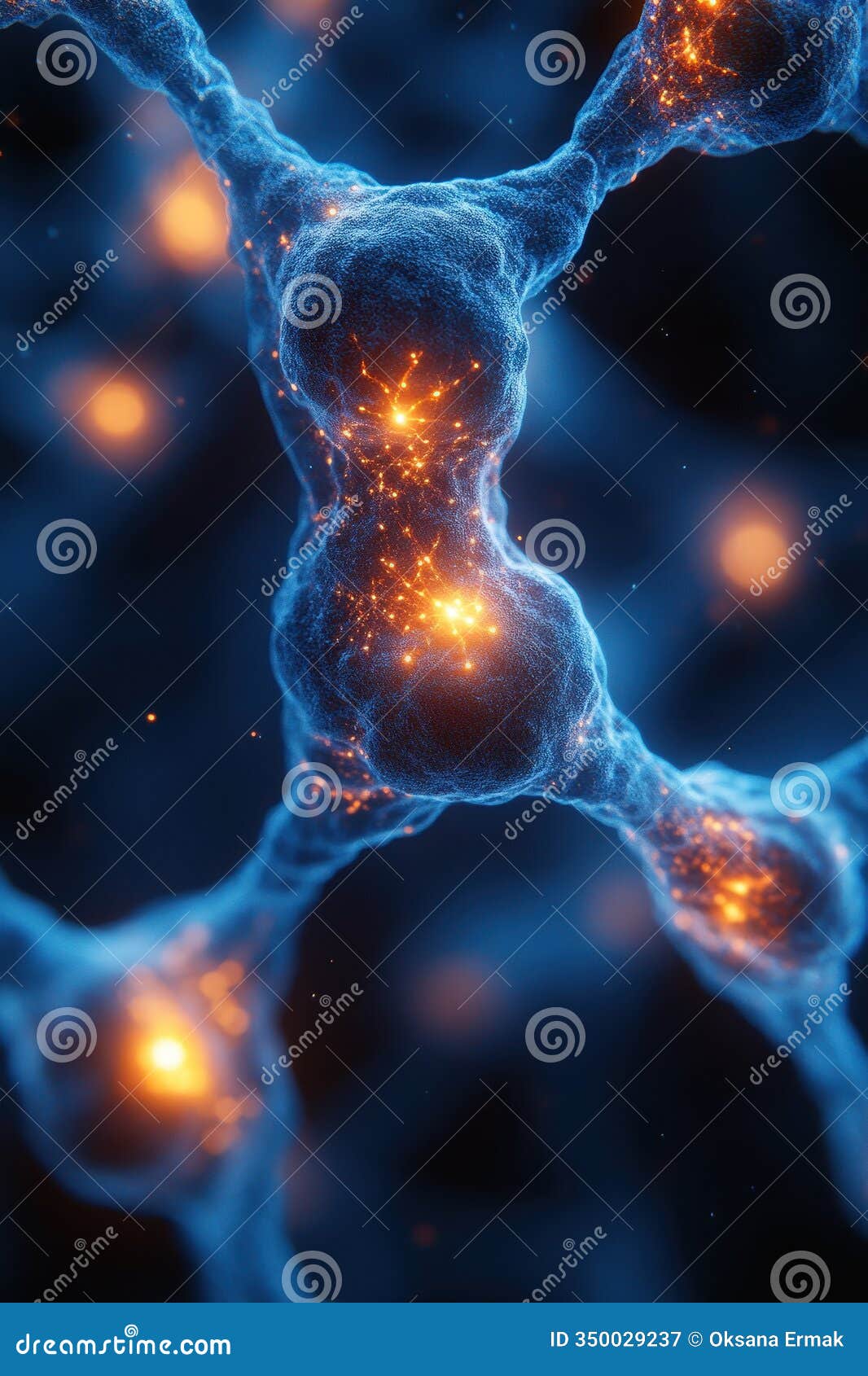 Dense, Intricate Synaptic Webs Inspired by Neural Connections with ...