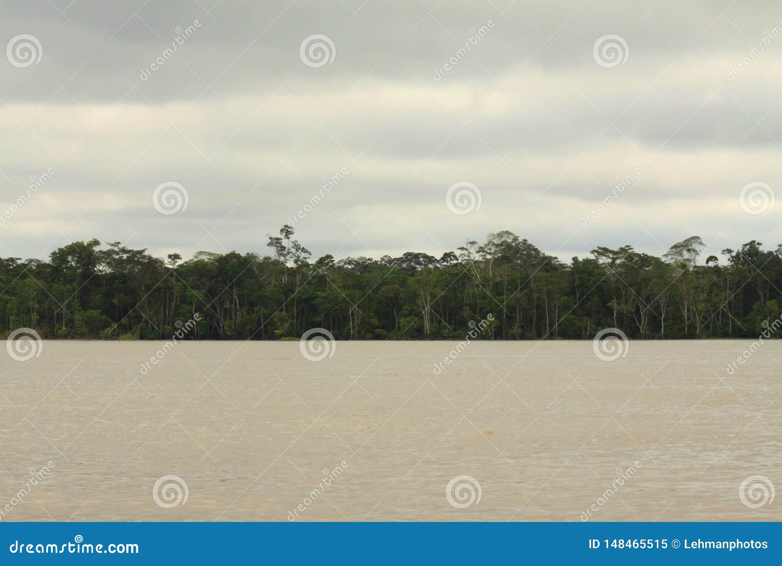 Amazon River and Distant Jungle Shore Stock Image - Image of clouds ...