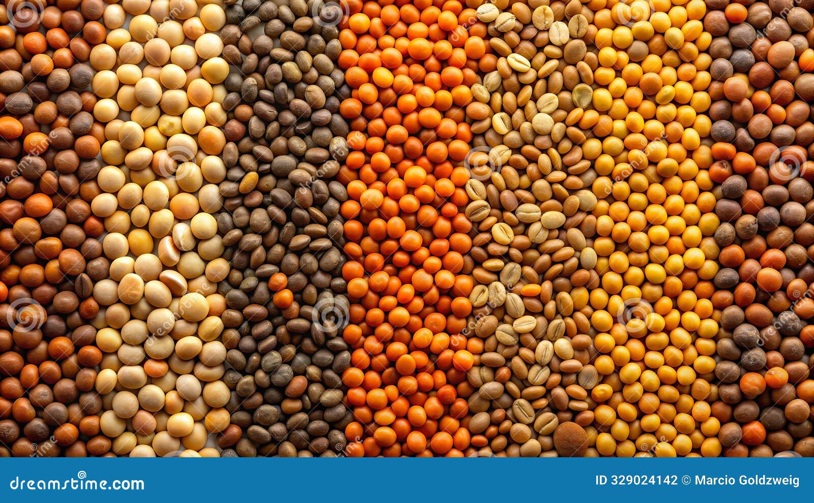 Dense Cartoons, Illustrations & Vector Stock Images - 100622 Pictures ...