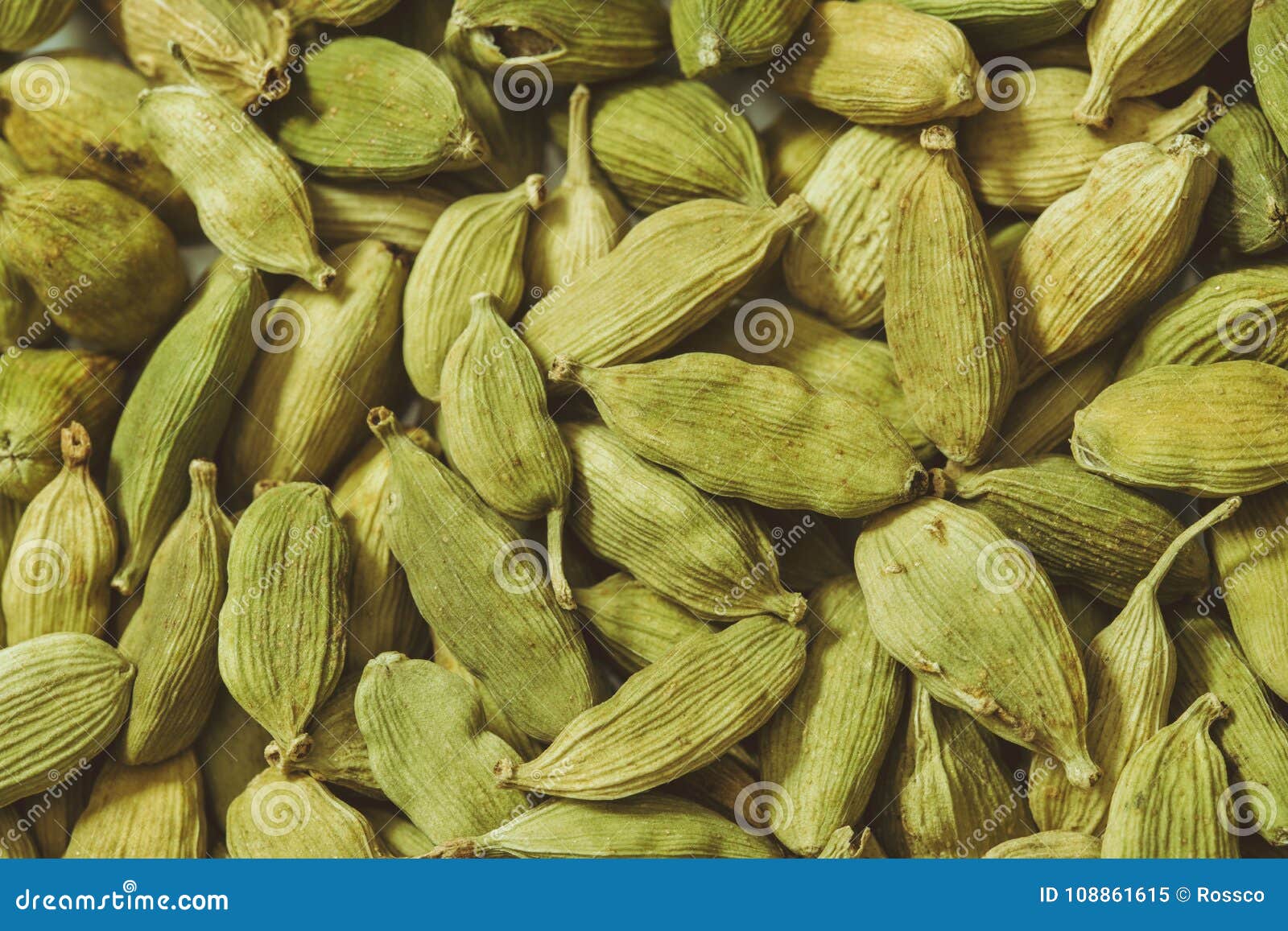 Pile of Cardamom Pods Close-up Stock Image - Image of green, cooking ...