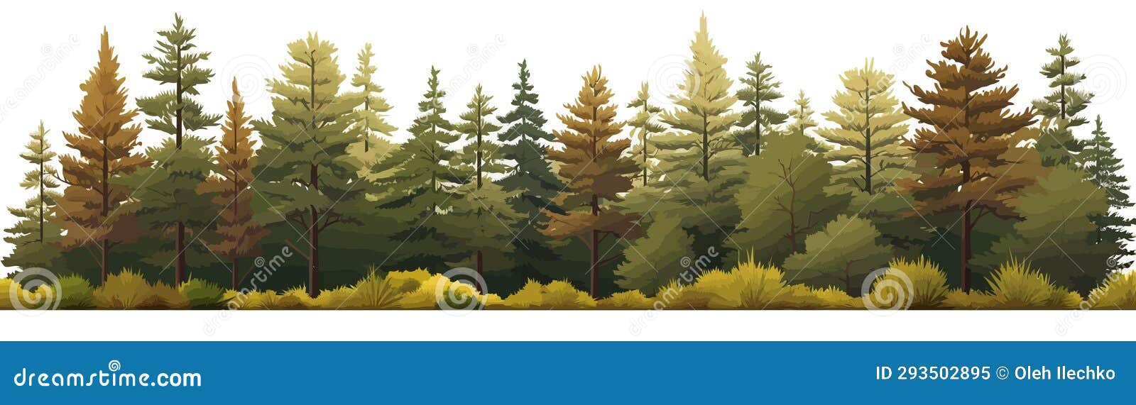 Dense Pine Forest Vector Simple 3d Smooth Cut and Isolated Illustration ...