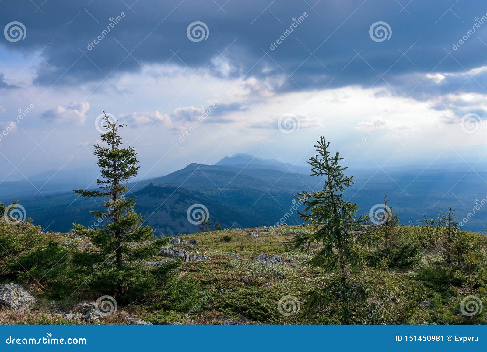Pristine, Untouched Forest in the Highlands Stock Image - Image of ...