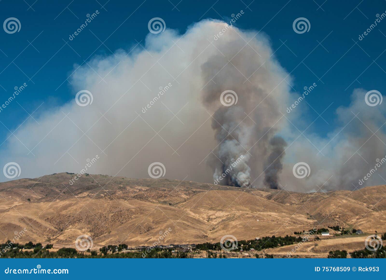 Dense Smoke Rising from the Raging Wildfire Stock Image - Image of ...