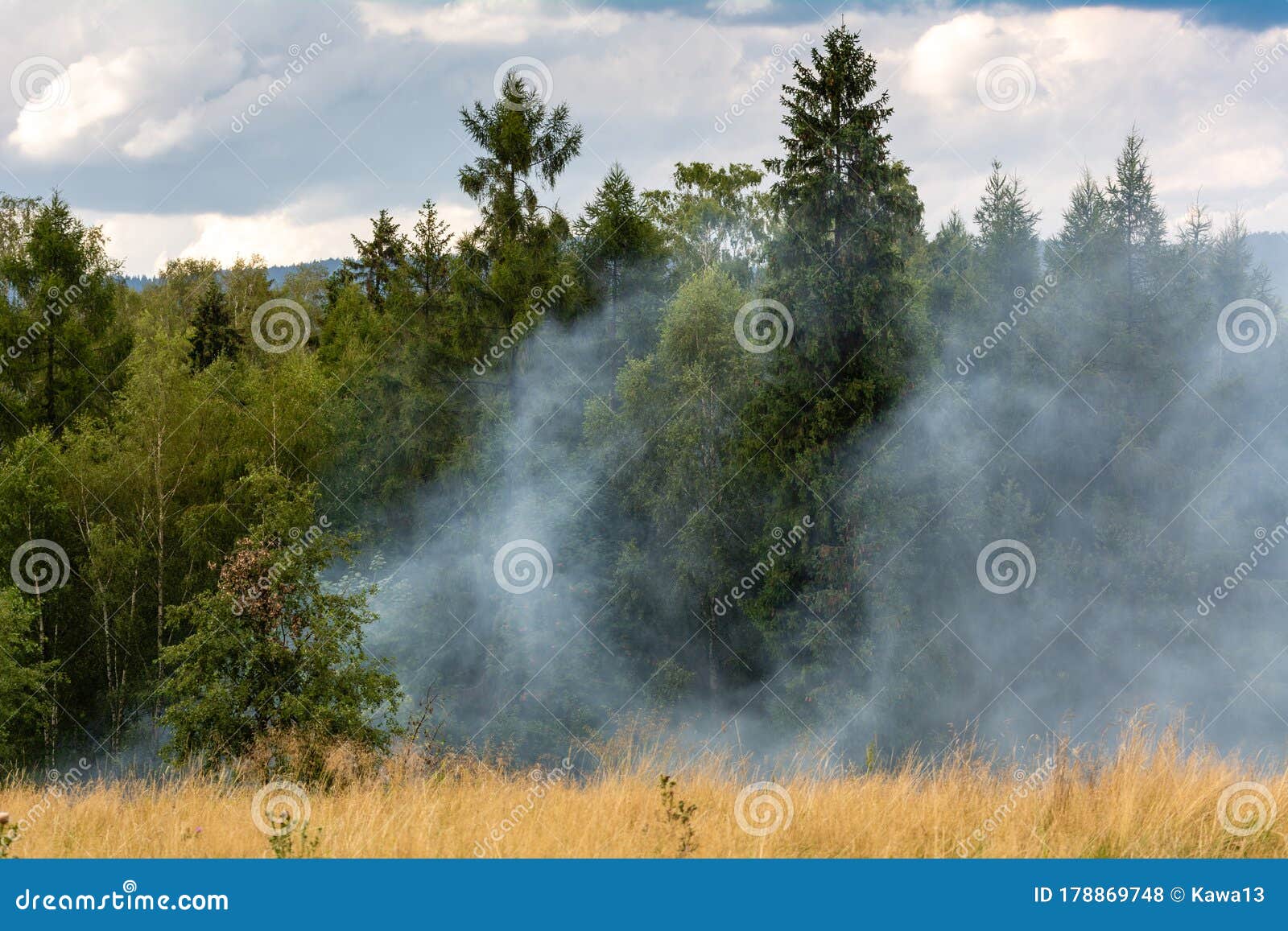 Dense Smoke Rising from the Wildfire in the Forest Stock Photo - Image ...