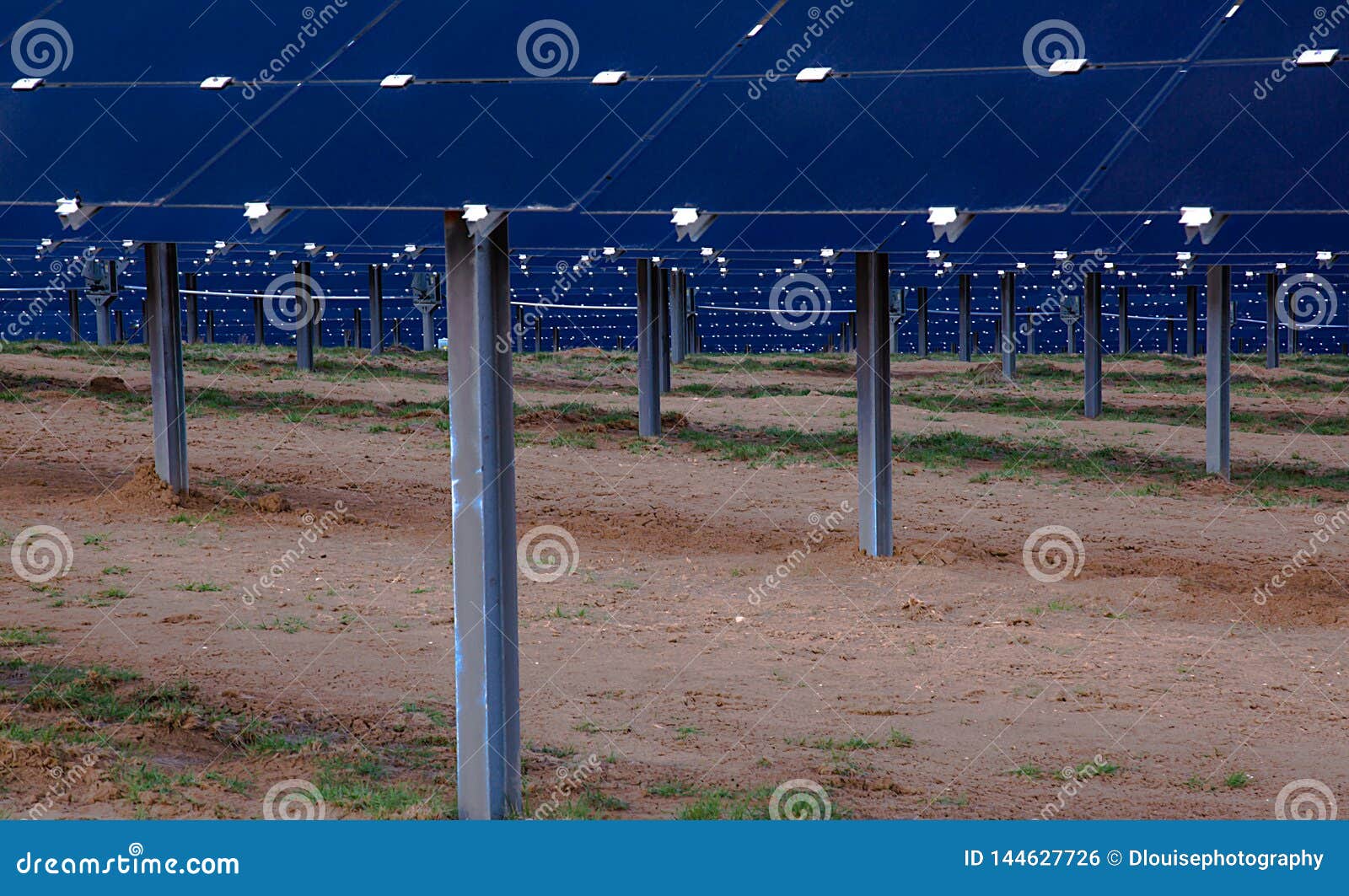 Solar Panels in Colorado Lean in Towards the Sun Stock Photo - Image of ...