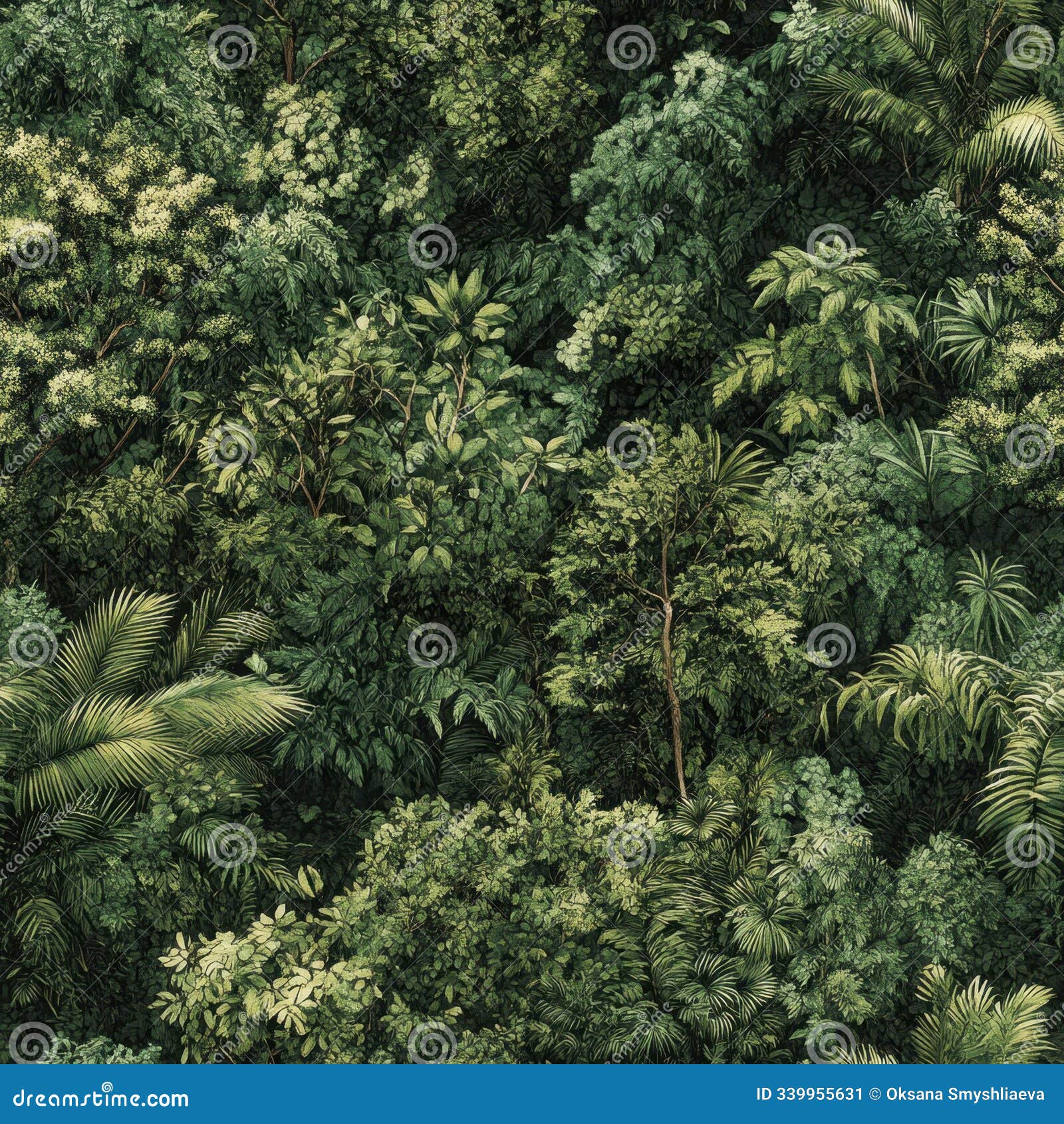 Dense Tropical Rainforest Canopy from Above Stock Image - Image of ...