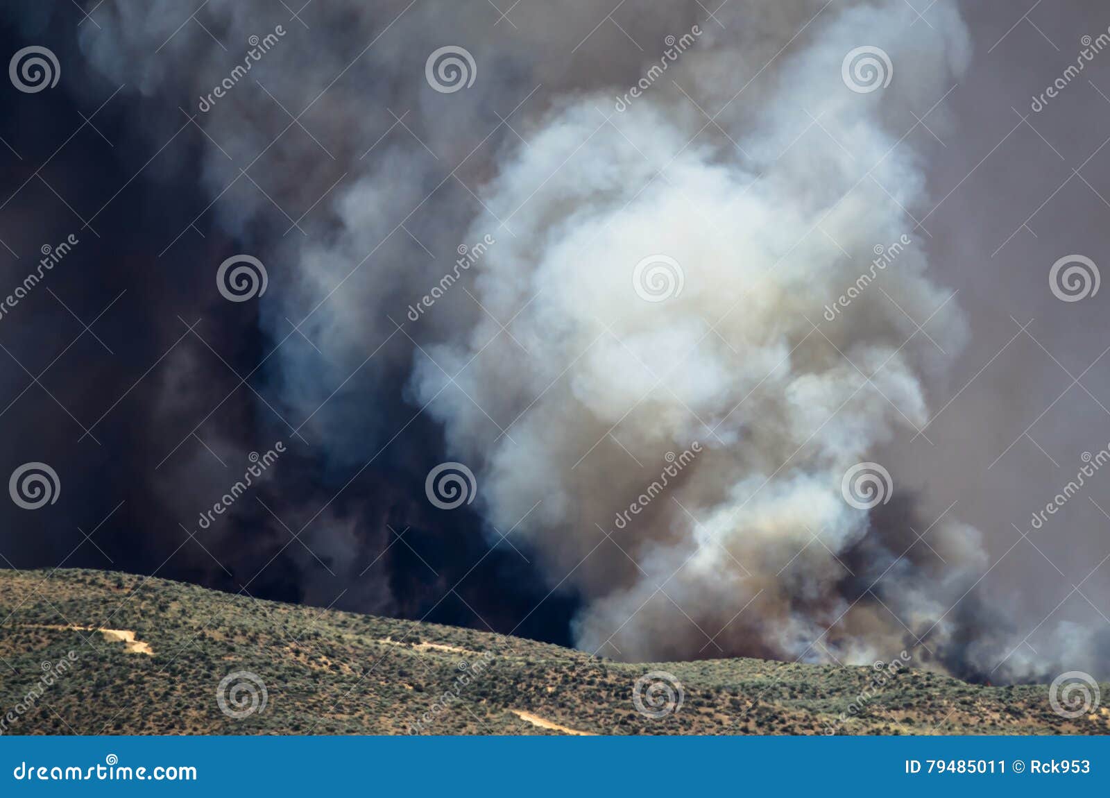 Dense White Smoke Rising from the Raging Wildfire Stock Image - Image ...