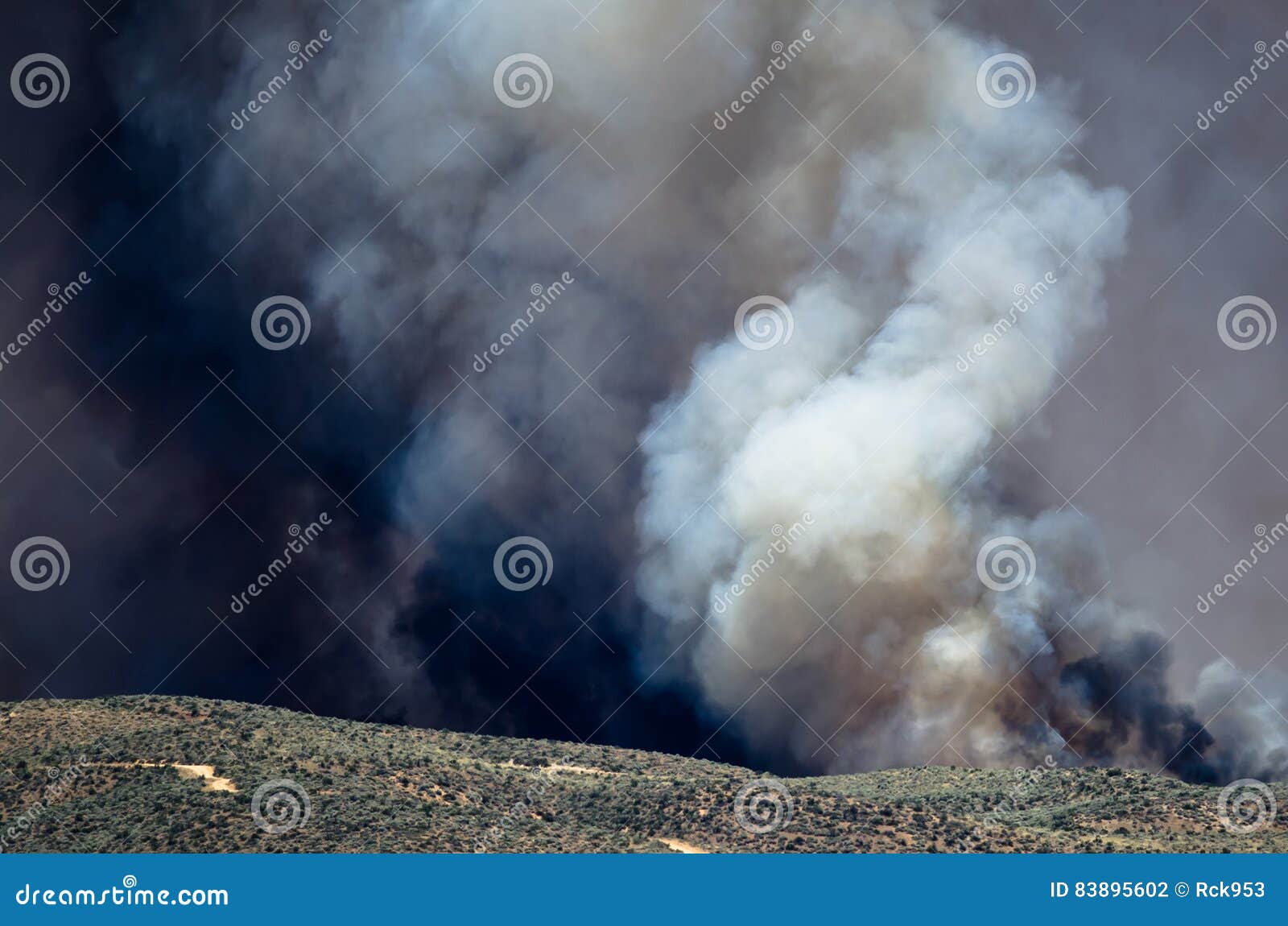 Dense White Smoke Rising from the Raging Wildfire Stock Photo - Image ...