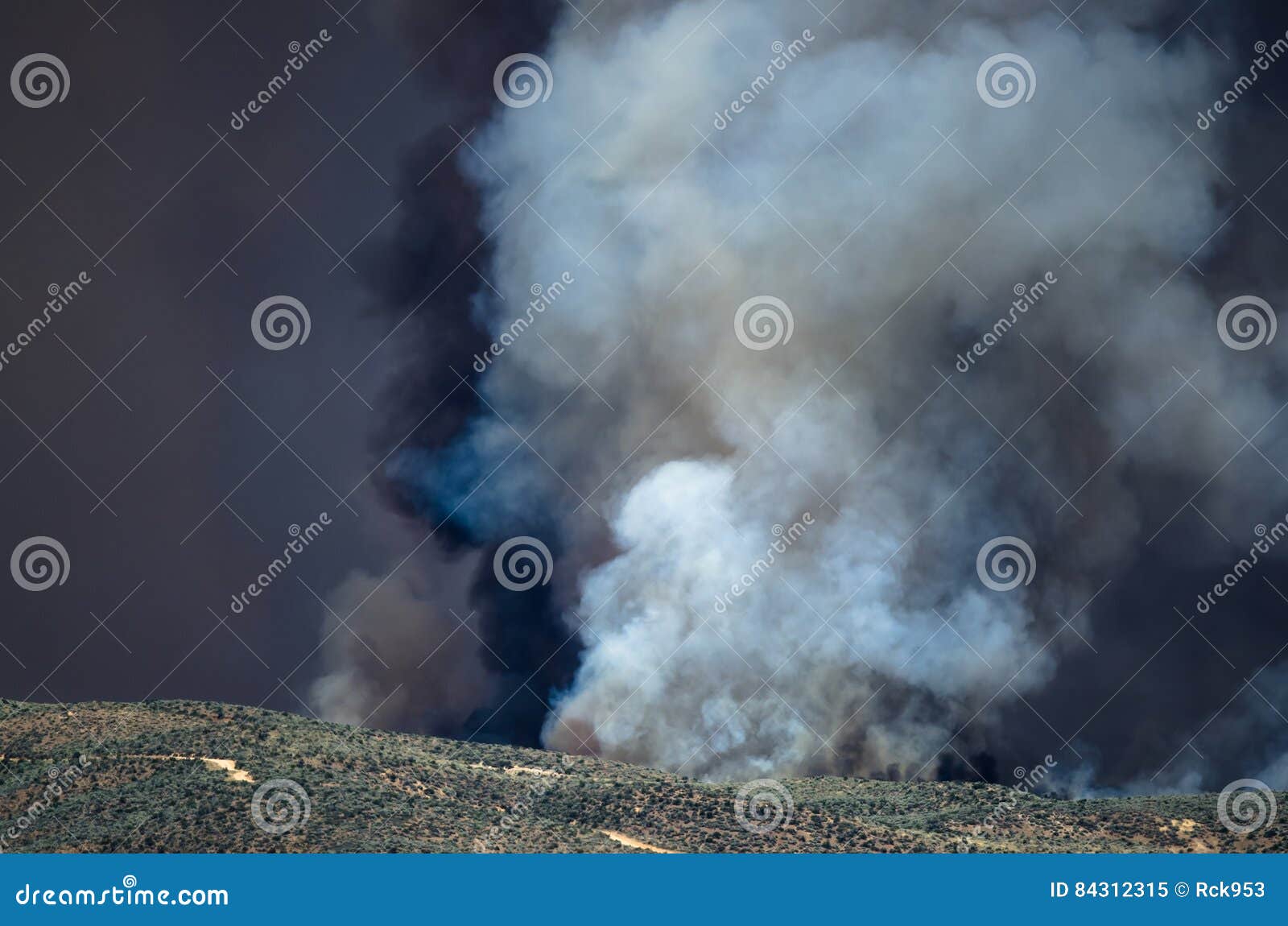Dense White Smoke Rising from the Raging Wildfire Stock Image - Image ...