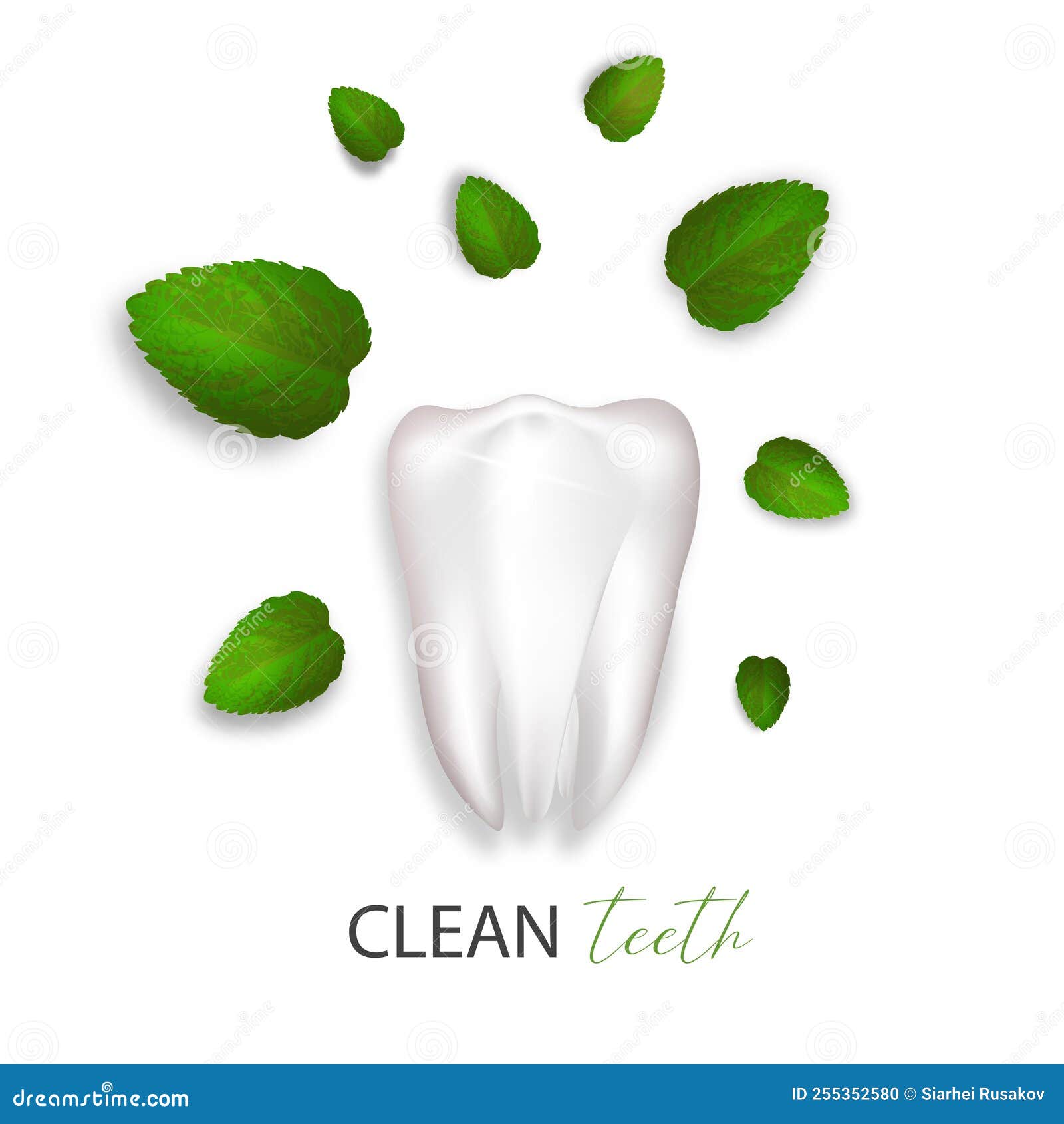 Dental Care Tooth and Mint Leaf Icon Vector Concept. Stock Vector ...