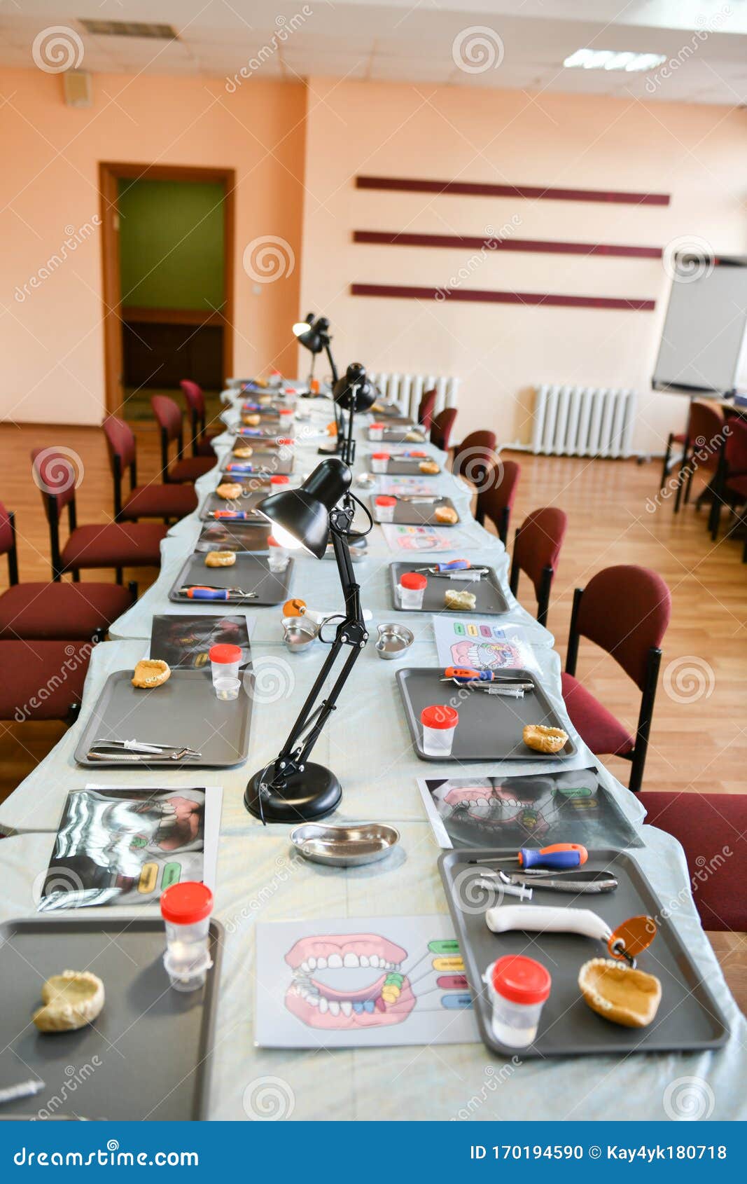 Dental Classroom Interior. Dentists Tools in a Modern Classroom at ...
