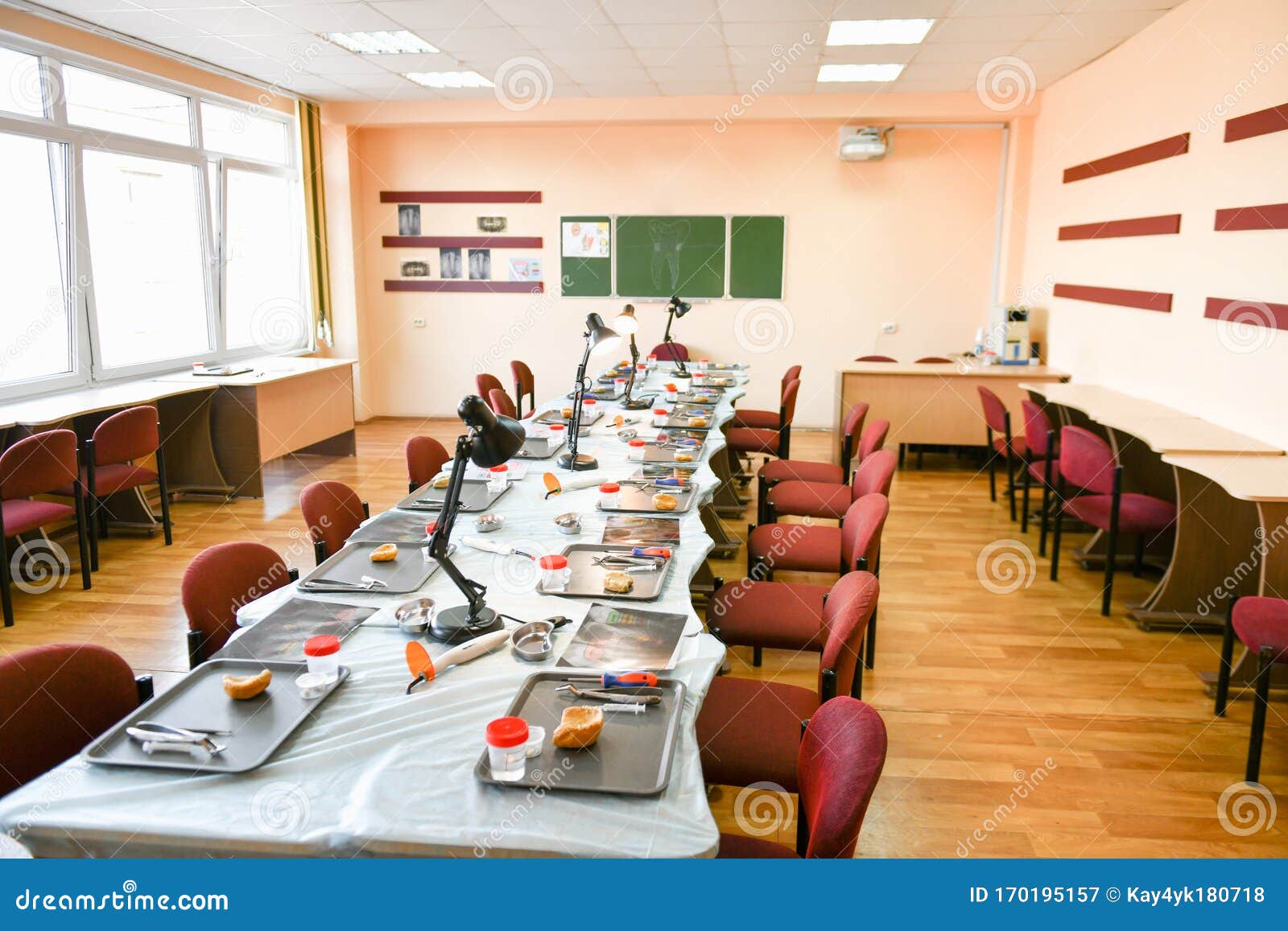 Dental Classroom Interior. Dentists Tools in a Modern Classroom at ...