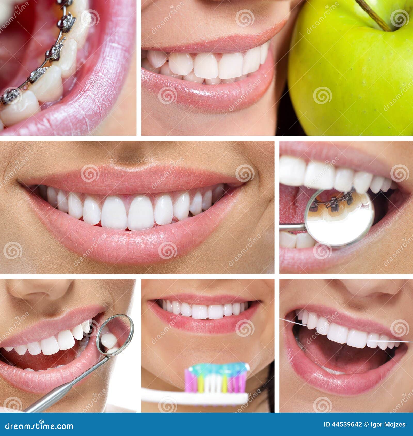 Dental collage stock photo. Image of brush, collection - 44539642