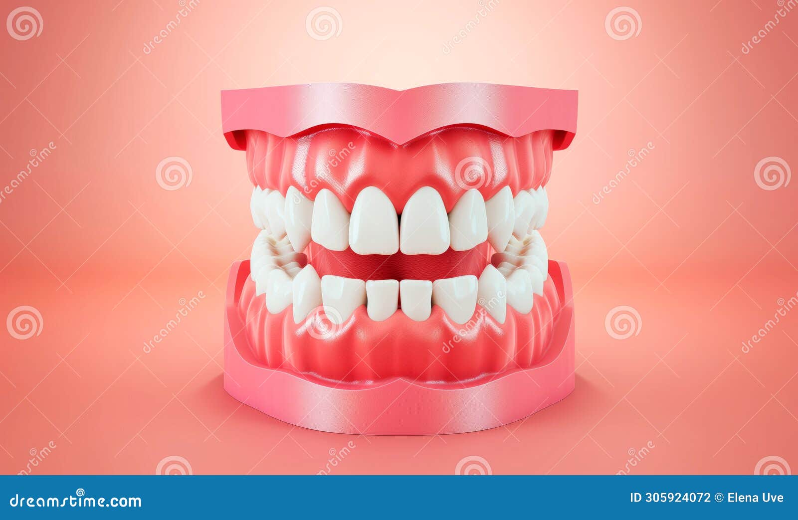 3D Concept of Healthy Human Teeth with Normal Occlusion. Stock ...