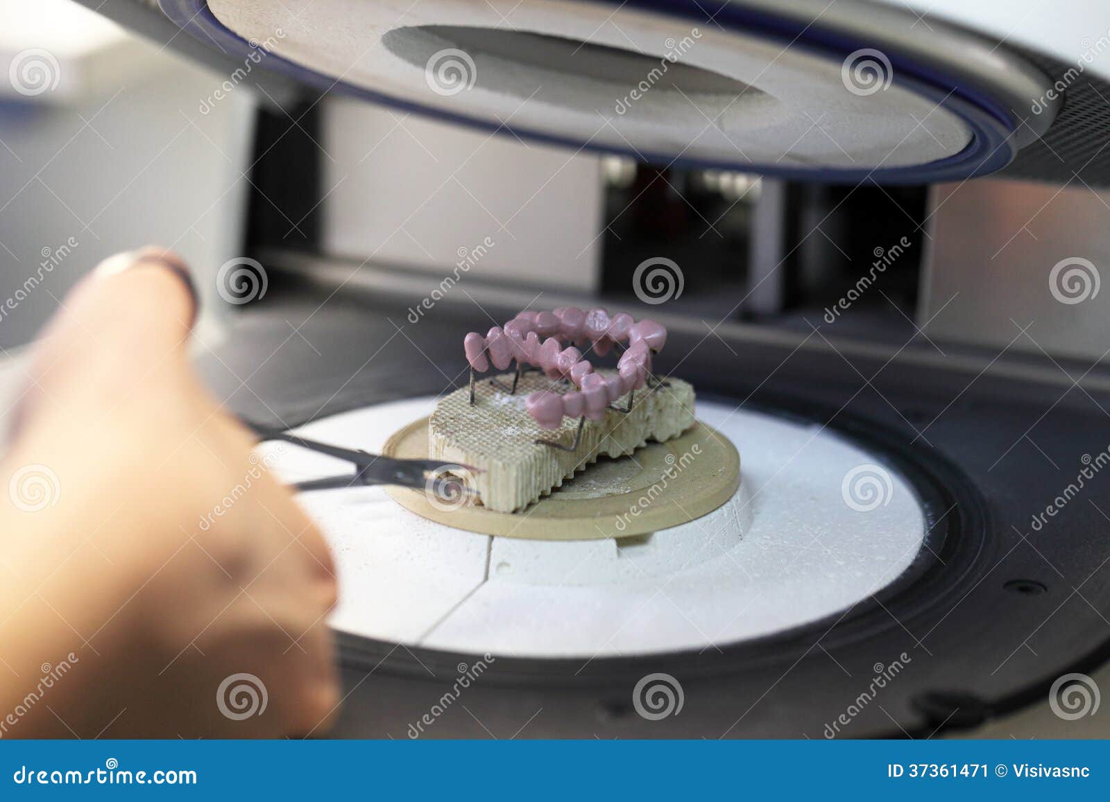 Dental dentist objects stock image. Image of mouth, model - 37361471