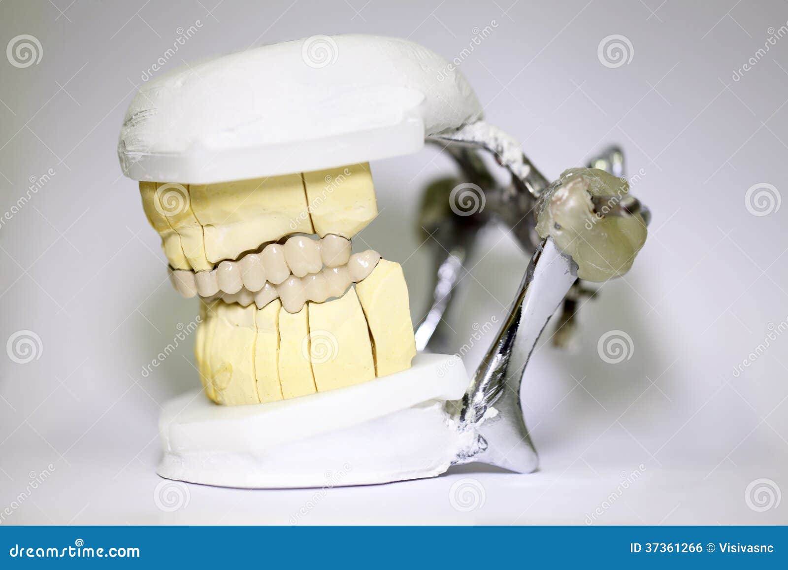 Dental dentist objects stock photo. Image of healthy - 37361266
