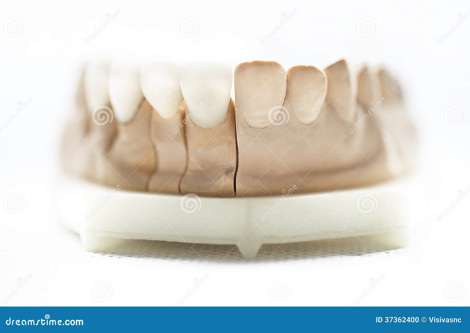Dental dentist objects stock photo. Image of dentures - 37362400