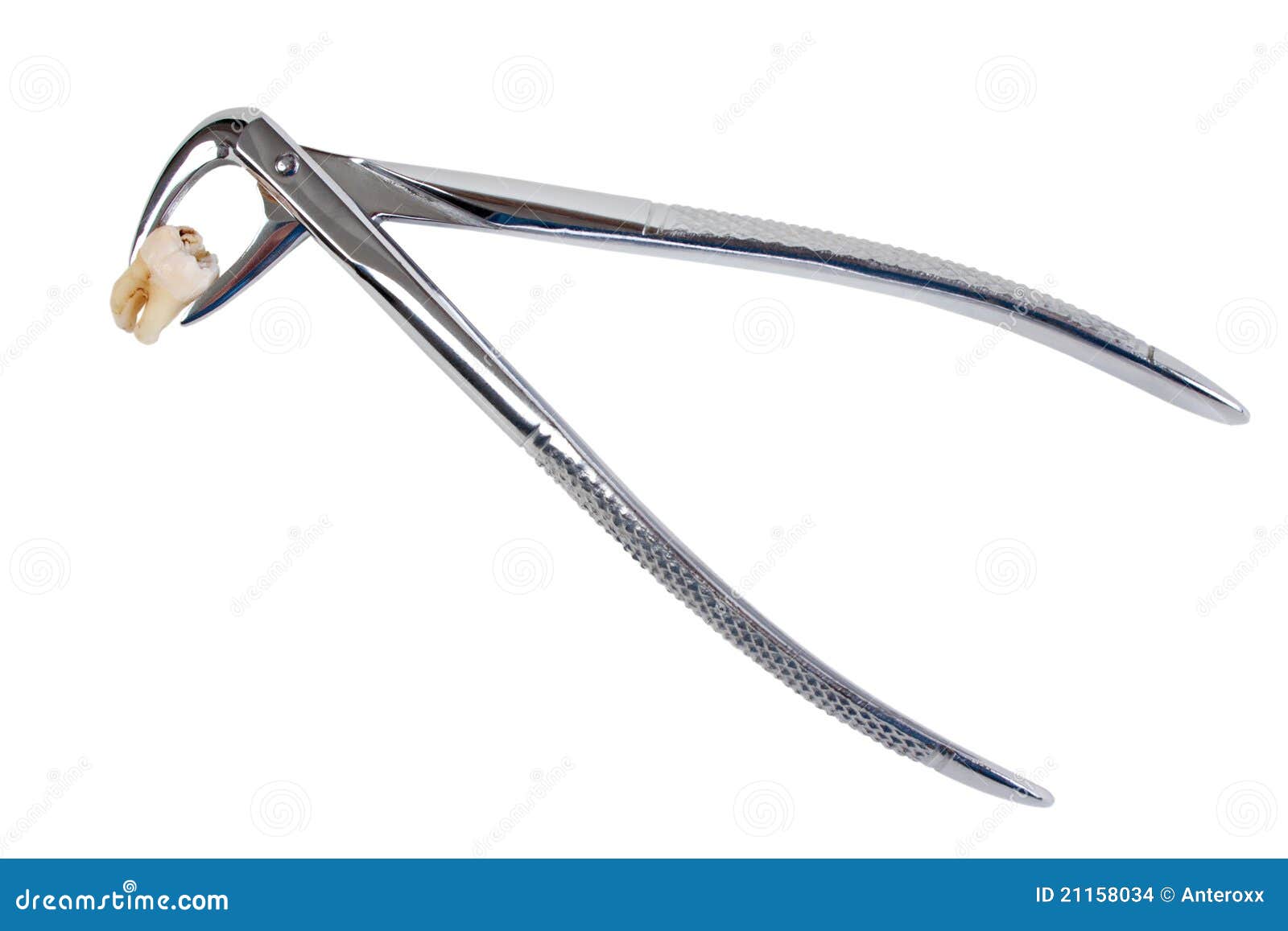 Dental forceps with tooth stock photo. Image of extraction - 21158034