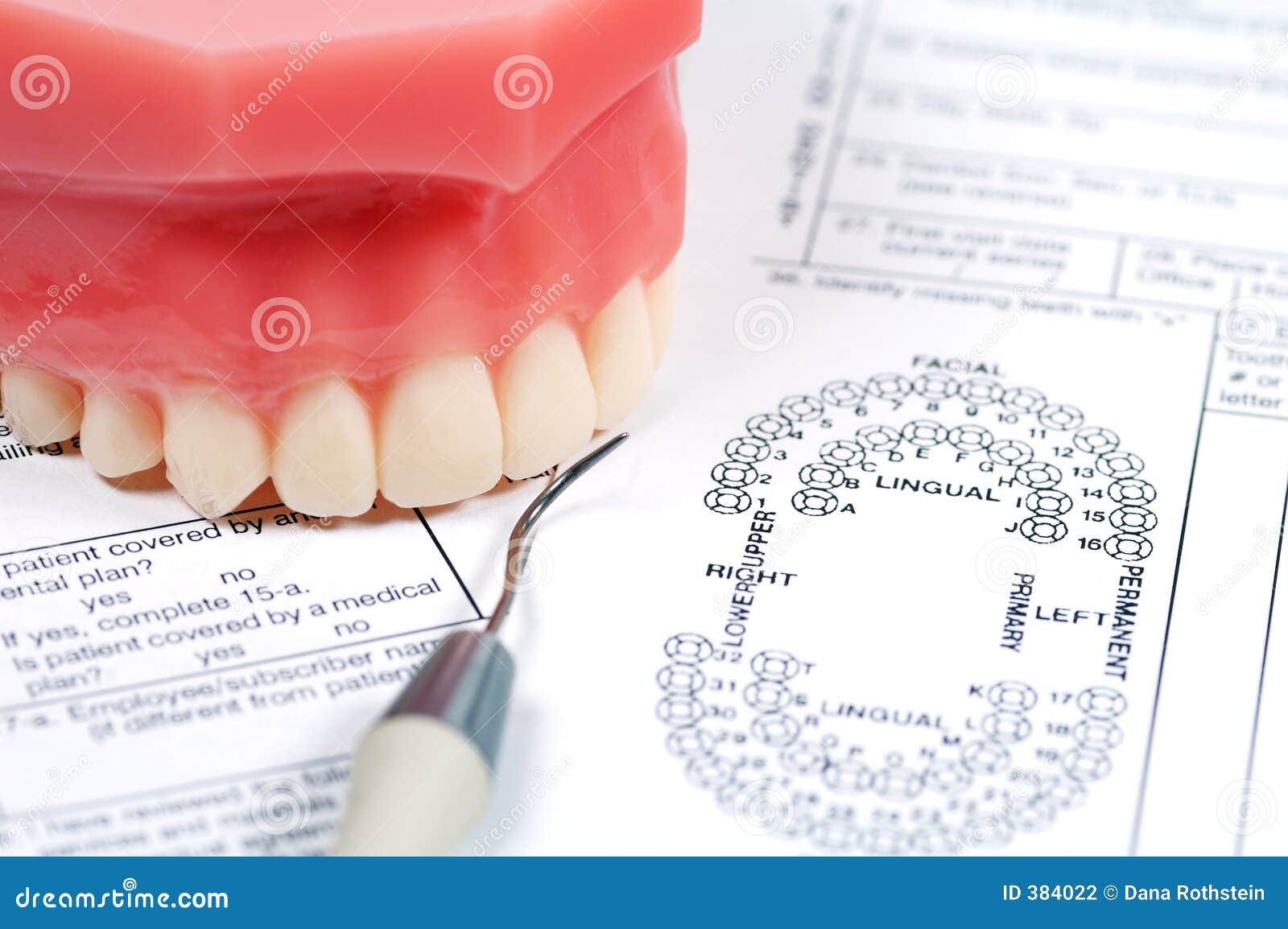 Dental Form stock photo. Image of form, orthodontics, cosmetic - 384022