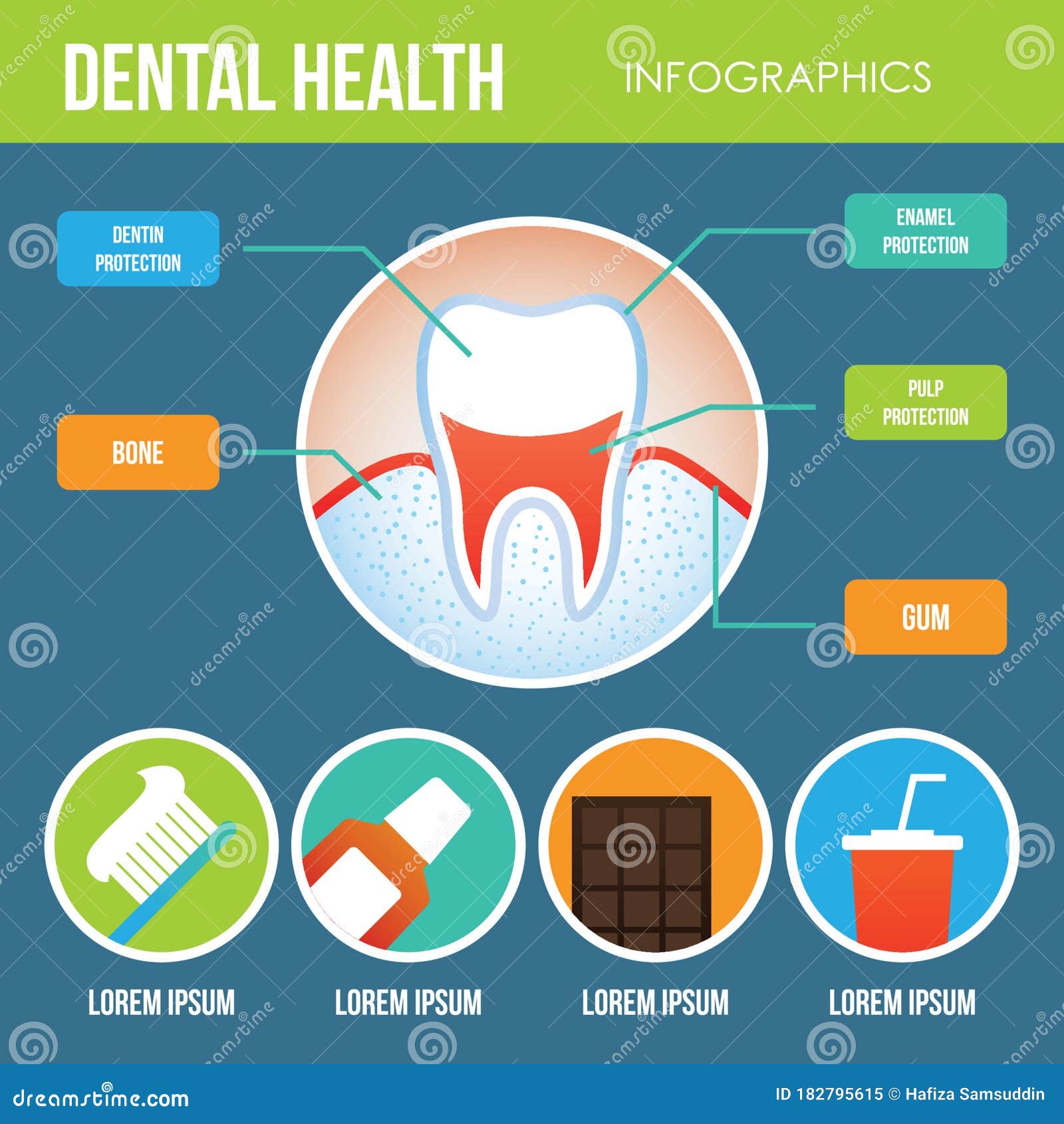 Dental Health Infographic Design Stock Vector - Illustration of dental ...