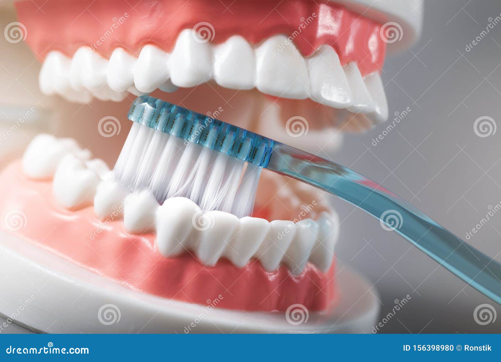 Dental Hygiene - Teeth Brushing Demonstration on Tooth Model Stock ...