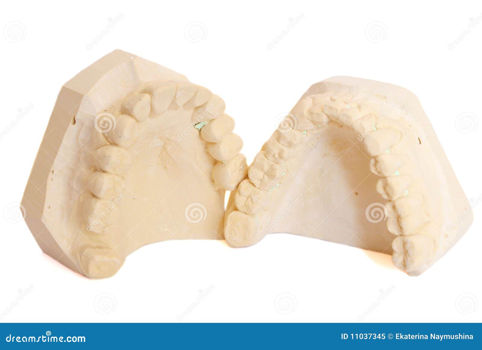 Dental impression 5 stock image. Image of lower, isolated - 11037345