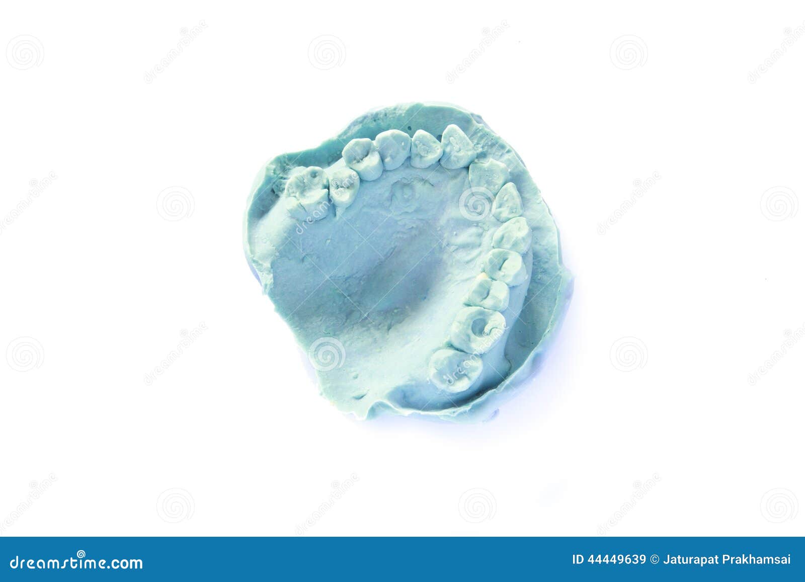 Dental impression model stock image. Image of model, odontology - 44449639