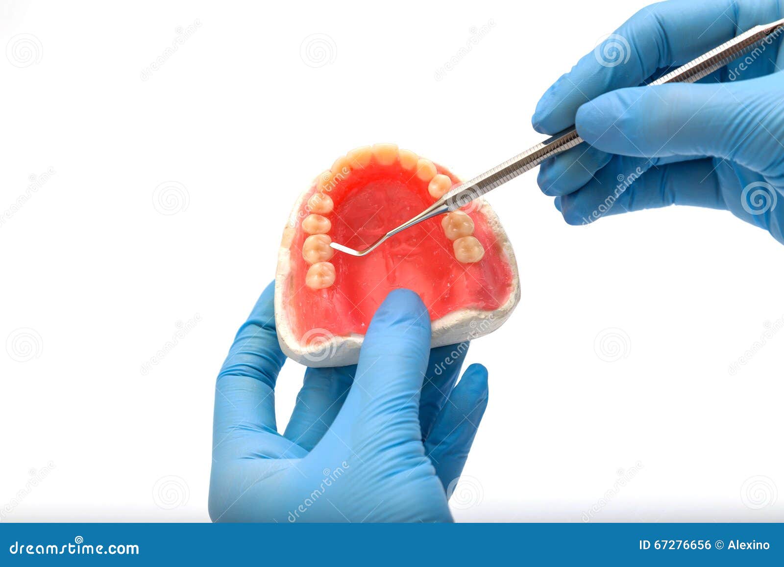Dental Instruments. Dentures and Medical Tools Stock Photo - Image of ...