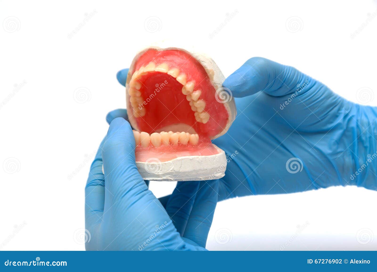 Dental Instruments. Dentures And Medical Tools Stock Photo - Image of ...