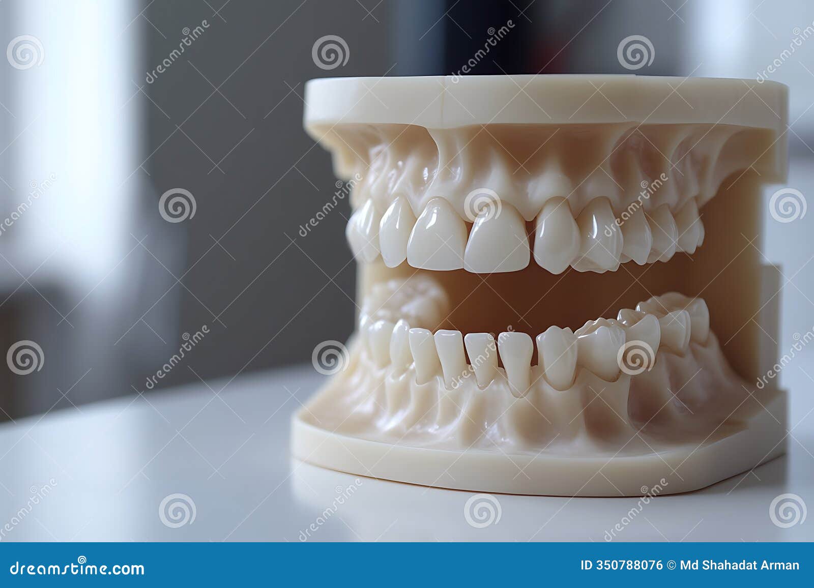 Dental Model Of A Tooth, Illustration As A Concept Of Dental ...