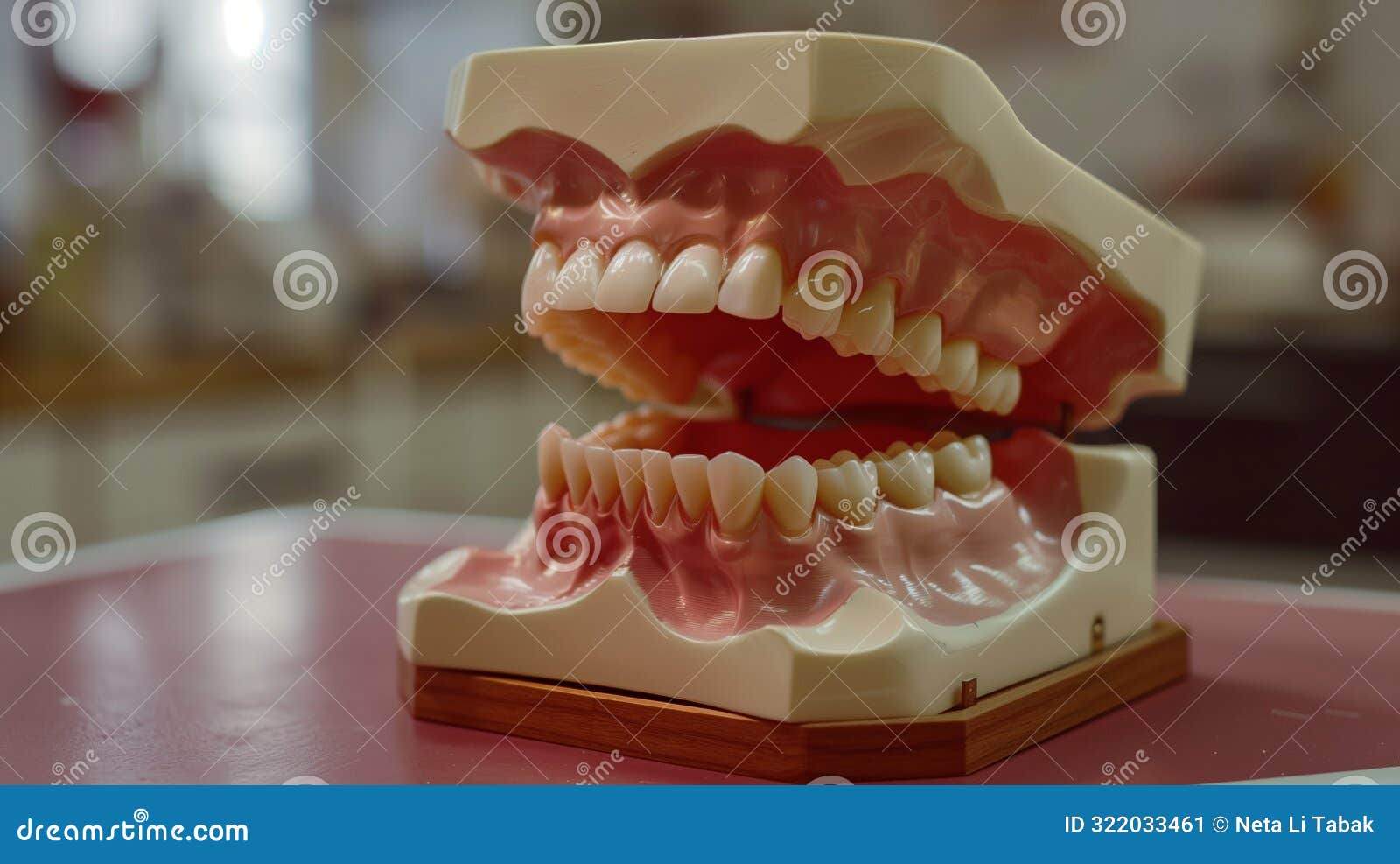 Dental Model Of Human Teeth And Gums. Generative Ai Stock Illustration ...