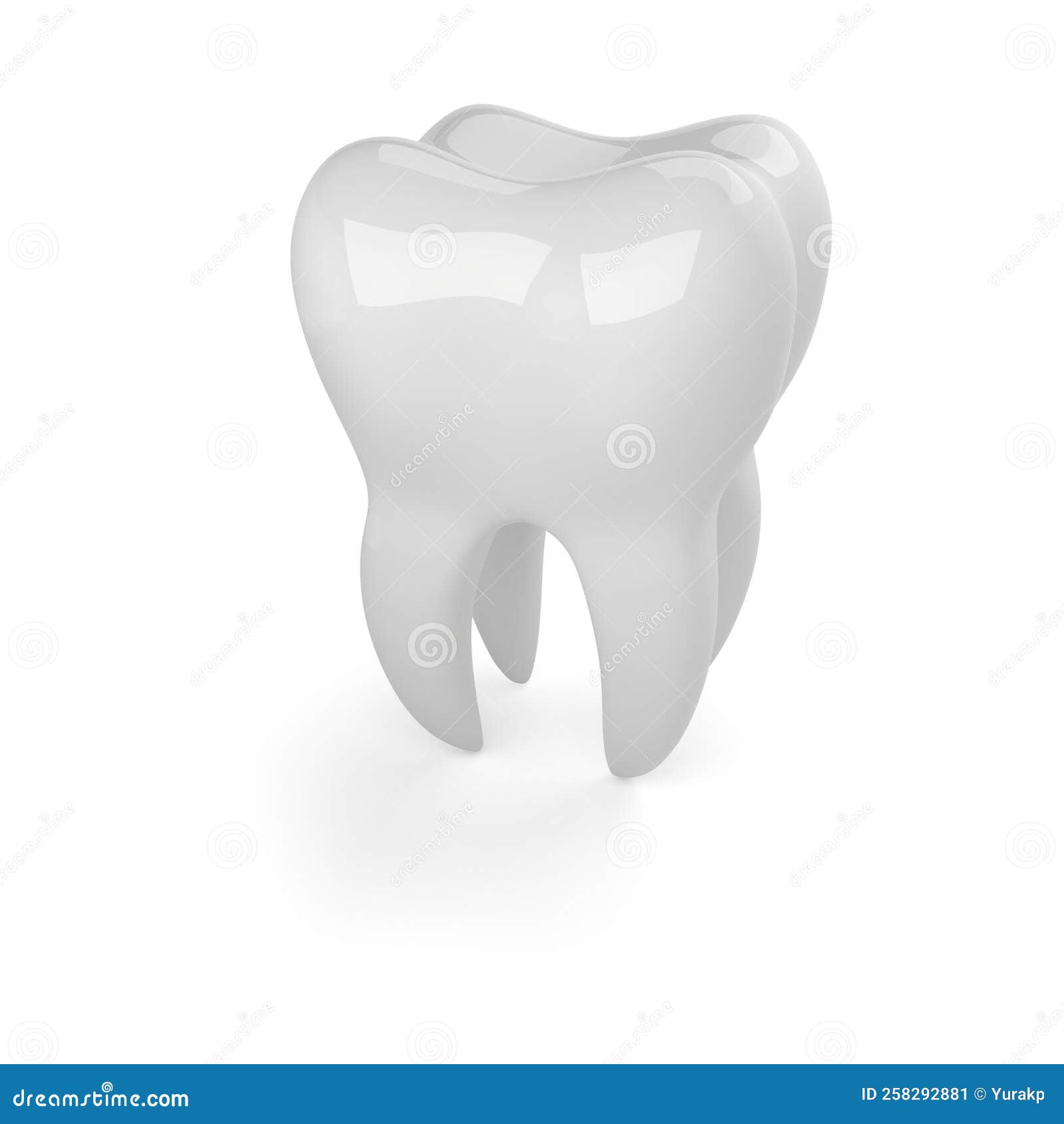 Dental Model of a Tooth Molar Isolated on a White Background. 3D ...