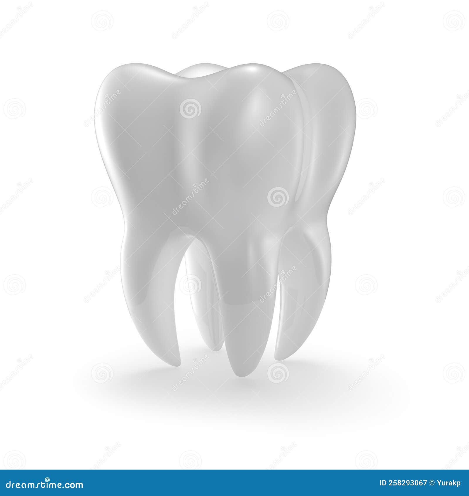 Dental Model of a Tooth Molar Isolated on a White Background. 3D ...