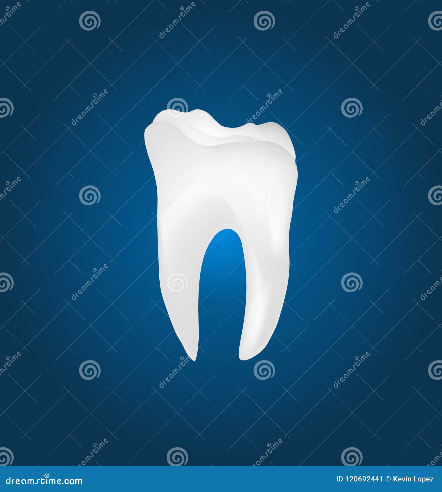 Dental molar tooth vector stock vector. Illustration of icon - 120692441