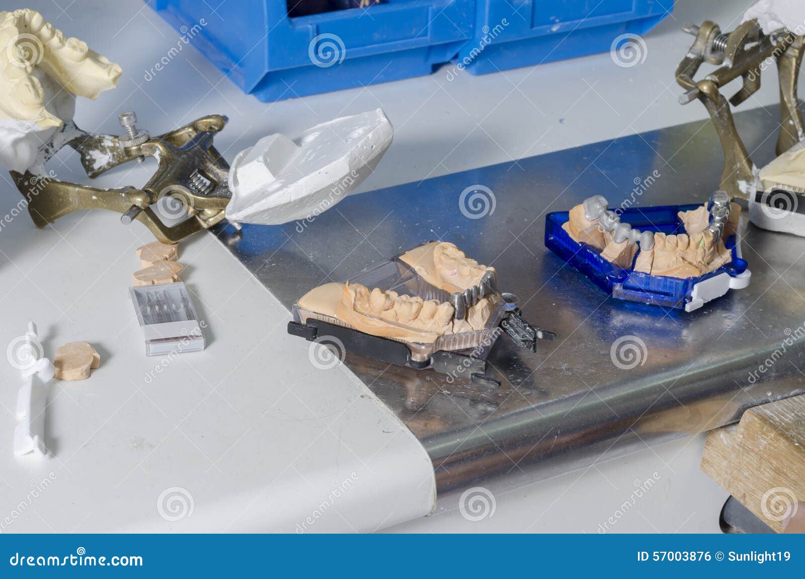 Dental Molds of Human Teeth. Stock Photo - Image of hand, model: 57003876
