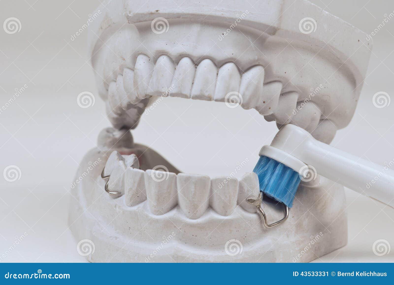 Dental mould stock image. Image of figure, denture, mouth - 43533331