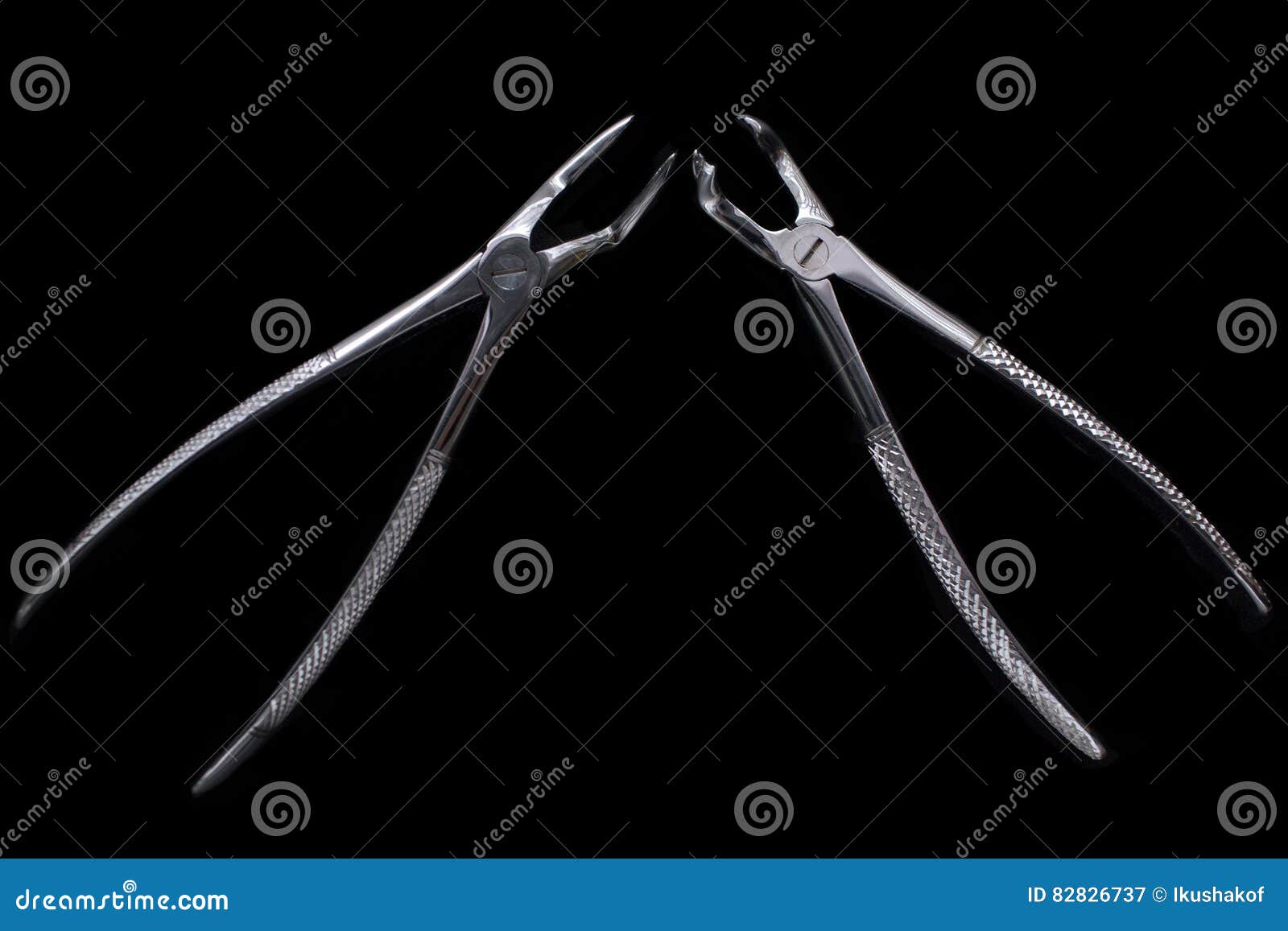 Dental Pincers To Remove the Chewing and Front Teeth on Black ...
