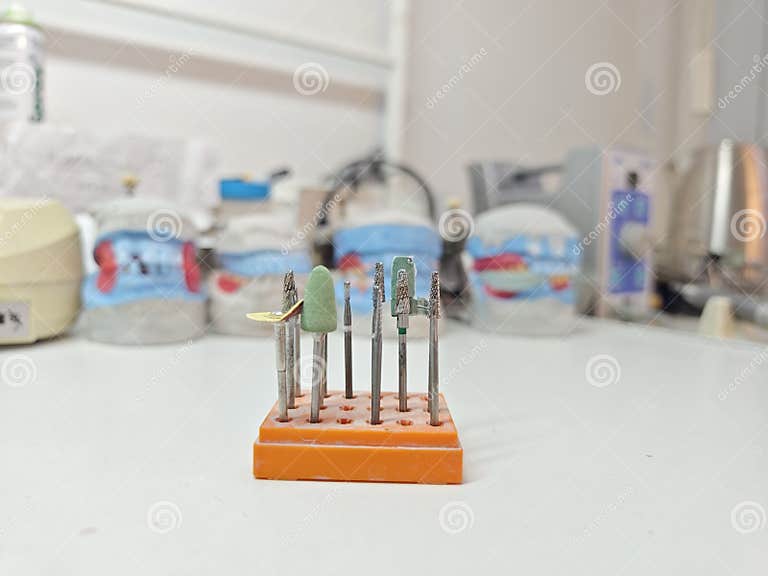 Dental Plaster Models with Denture Analogs in the Dental Laboratory ...