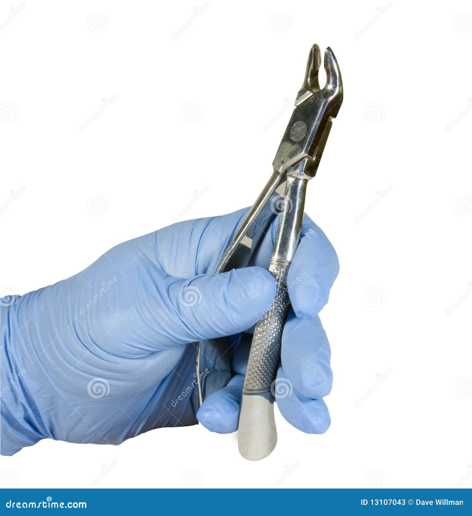 Dental Pliers Isolated with Path Stock Image - Image of clipping ...